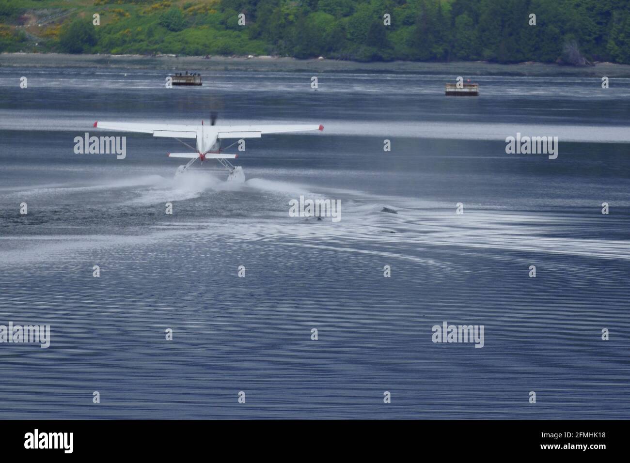 Float plane powering up for take off Stock Photo - Alamy