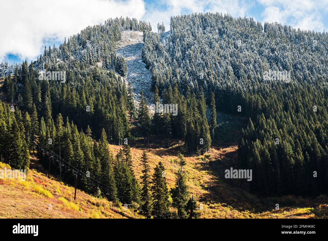 The first snow hi-res stock photography and images - Alamy