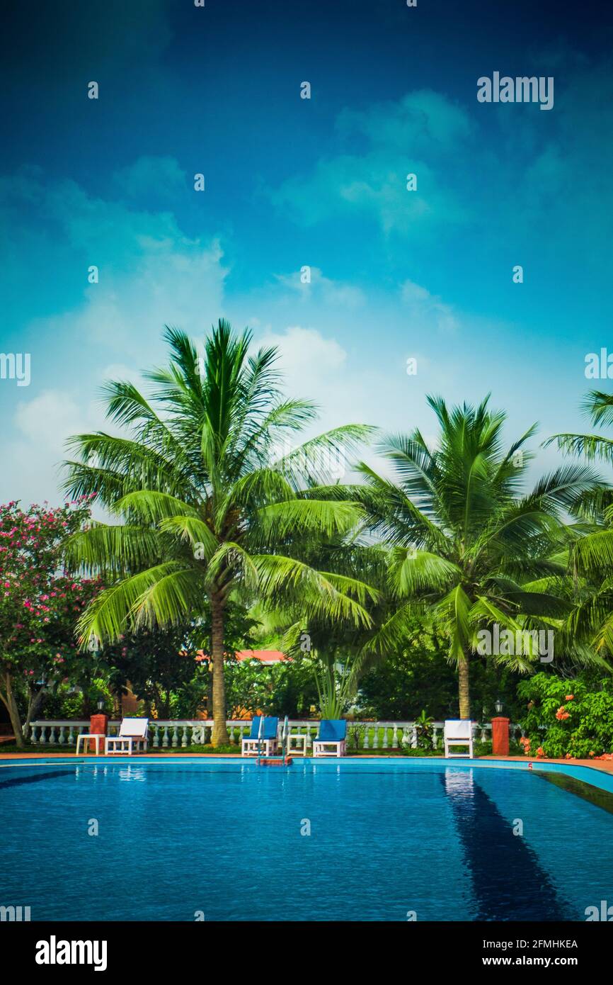 A resort scene in with blue swimming pool, tropical trees in the ...