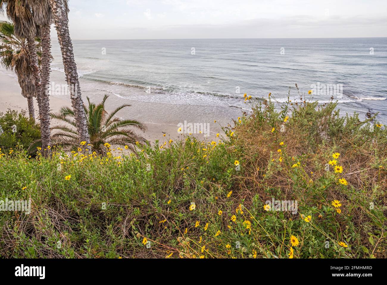 Beach bodies hi-res stock photography and images - Alamy