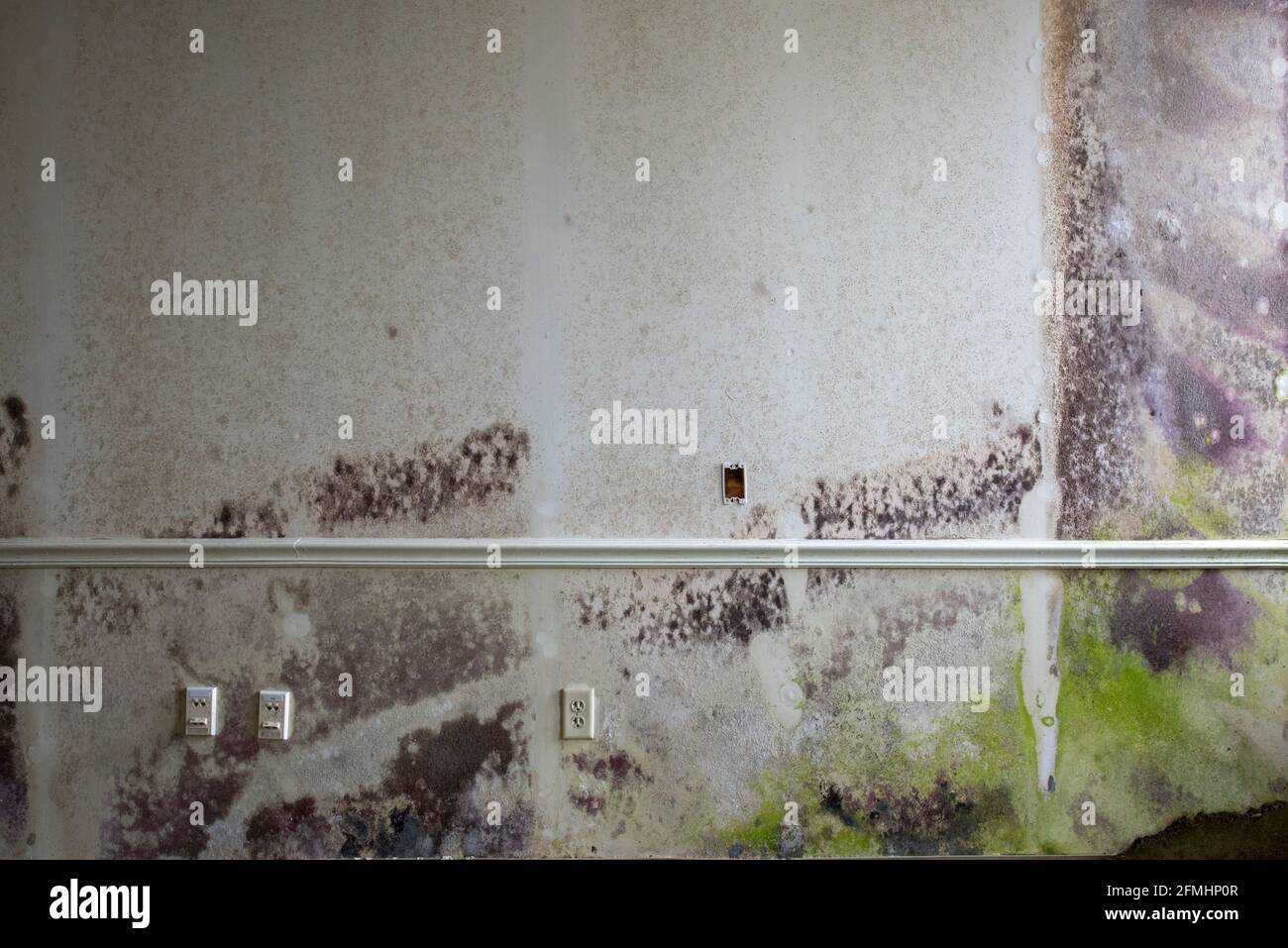 Moldy wall inside an abandoned decaying empty office building Stock ...