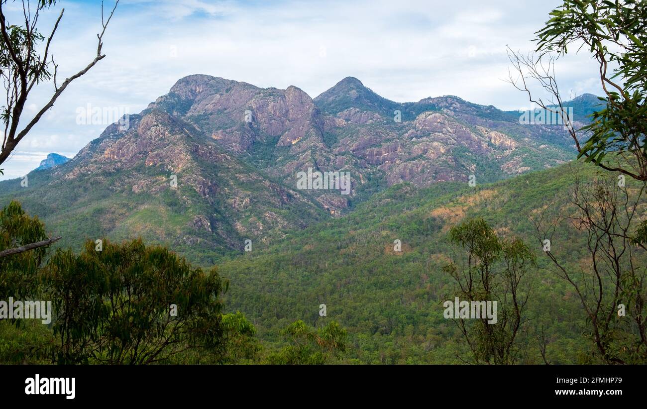 Mt Barney from the north Stock Photo - Alamy