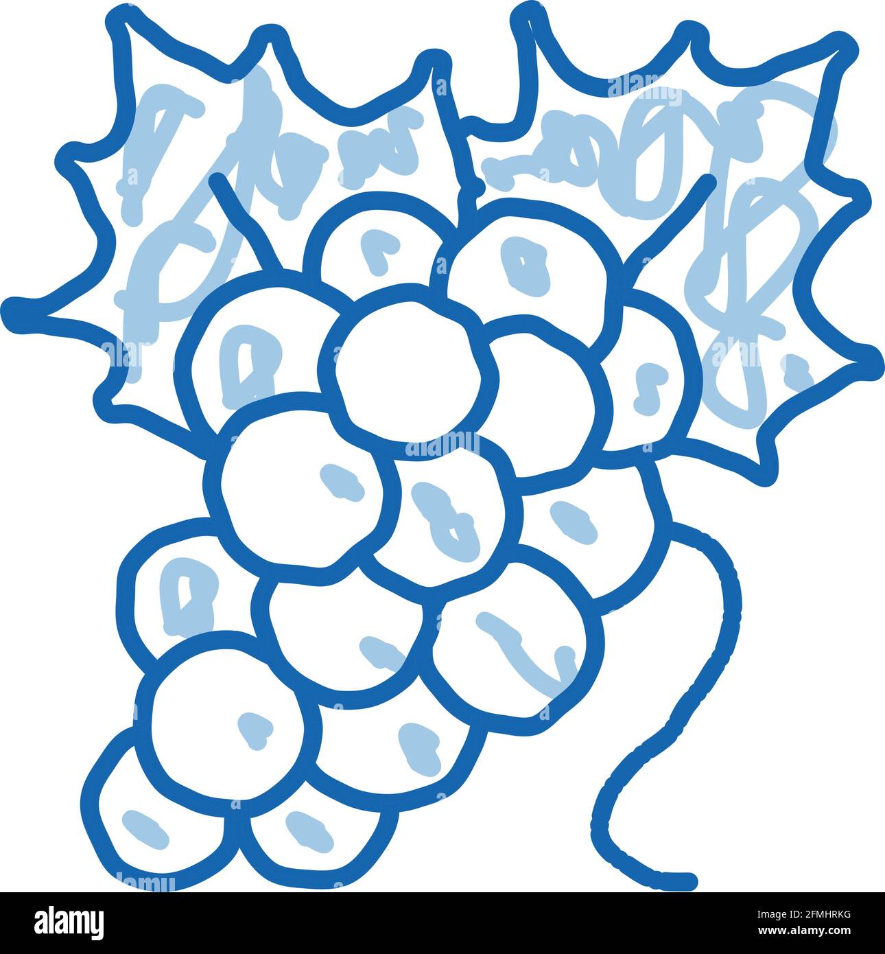 bunch of grapes icon vector outline illustration Stock Vector Image ...