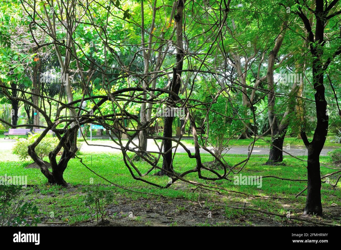 Intermingling hi-res stock photography and images - Alamy