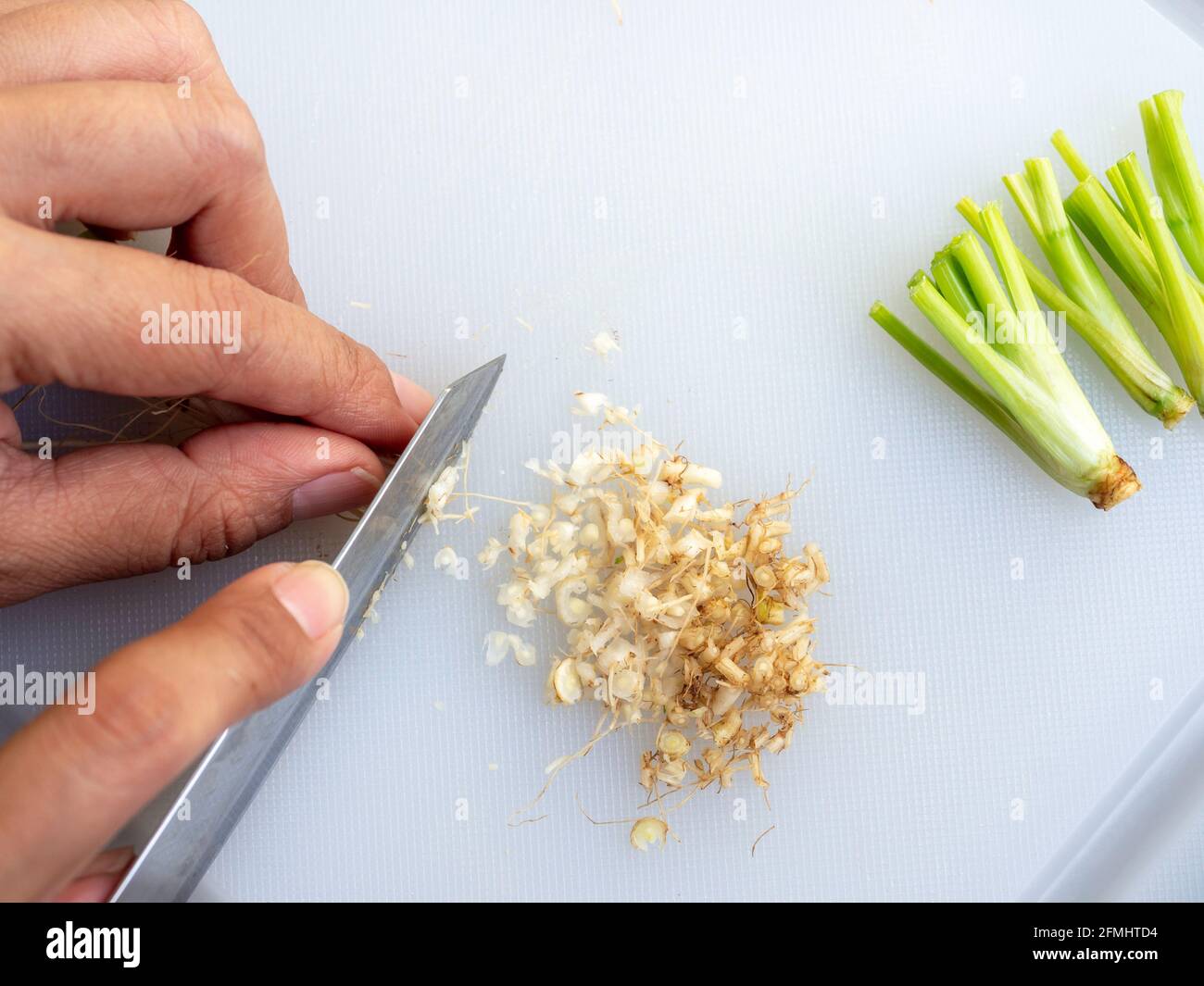 Woman hand cutting coriander hi-res stock photography and images - Alamy