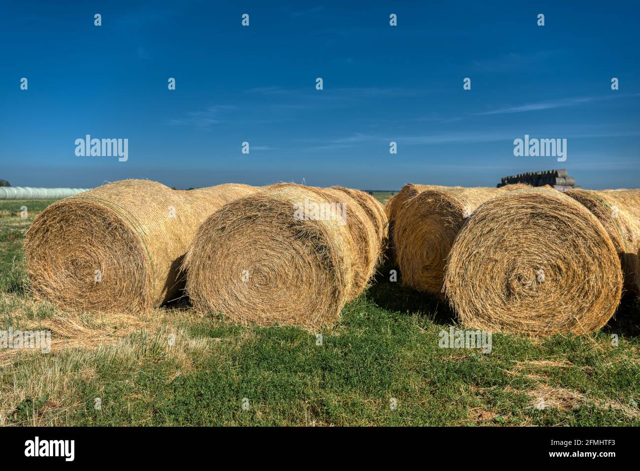 The straw bales Stock Photo - Alamy