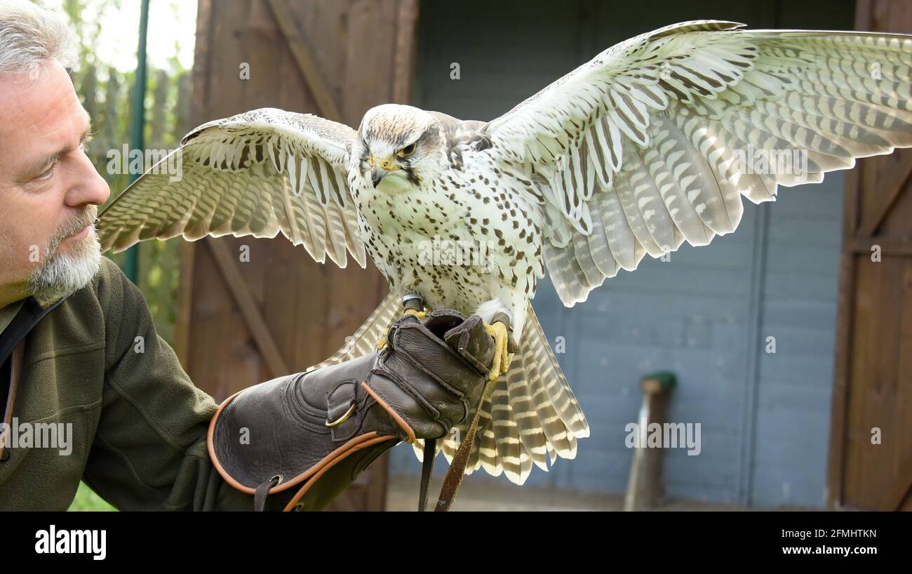 08 May 2021, Saxony-Anhalt, Wörlitz: Although no air shows are ...