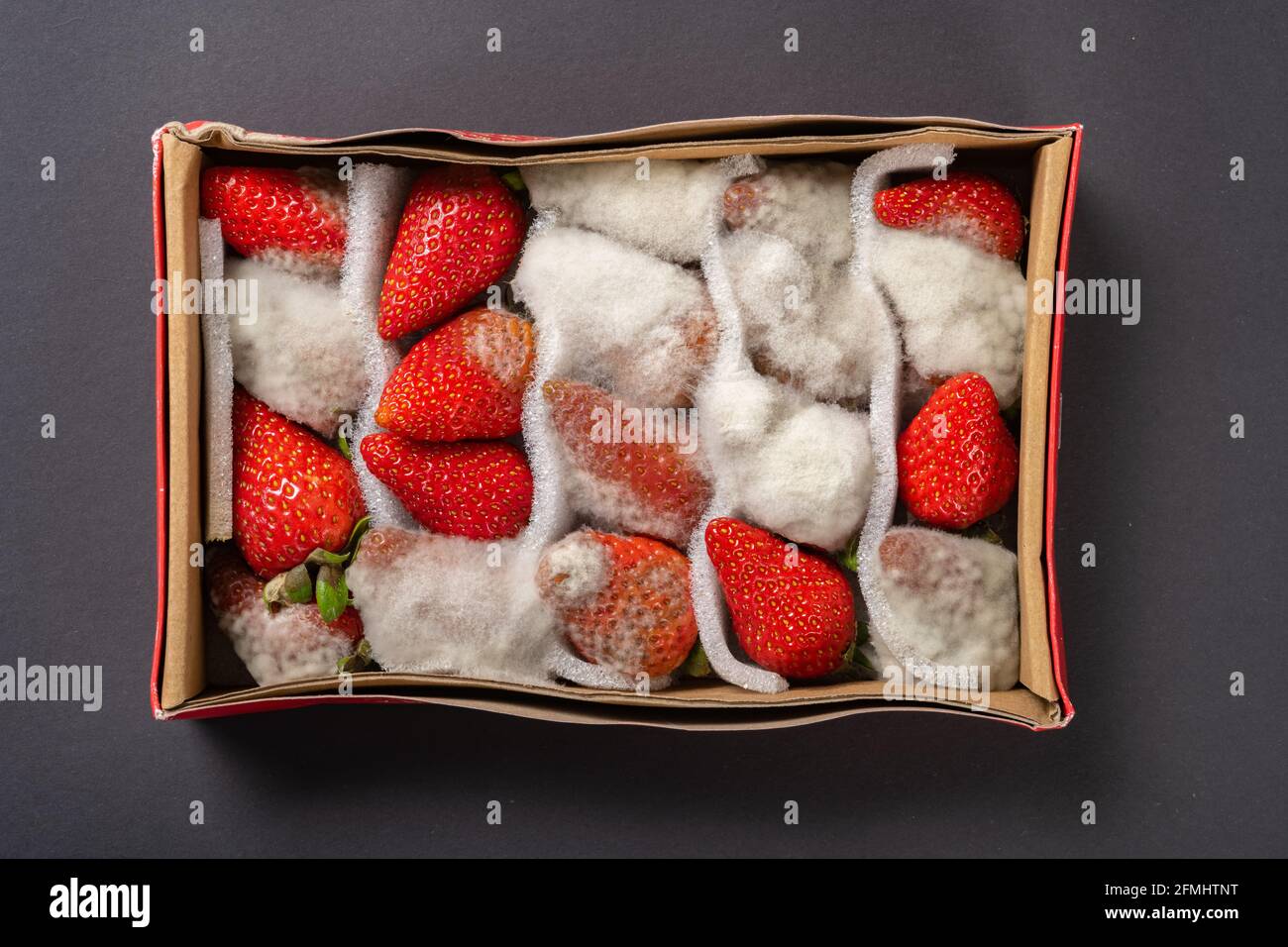 top view box of badly moldy strawberries Stock Photo - Alamy