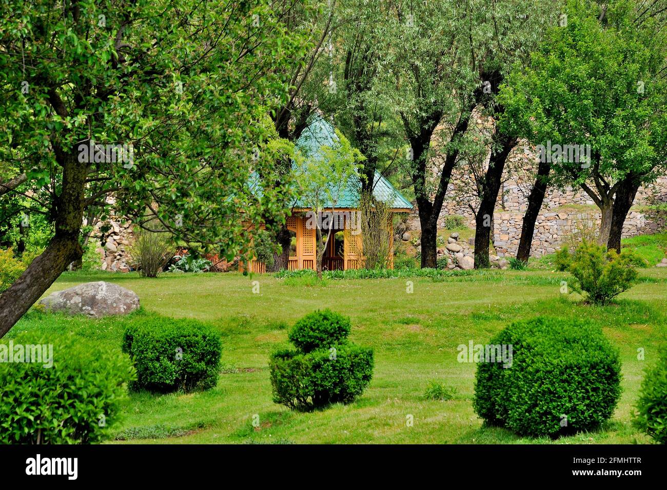 Kashmir tree hi-res stock photography and images - Alamy