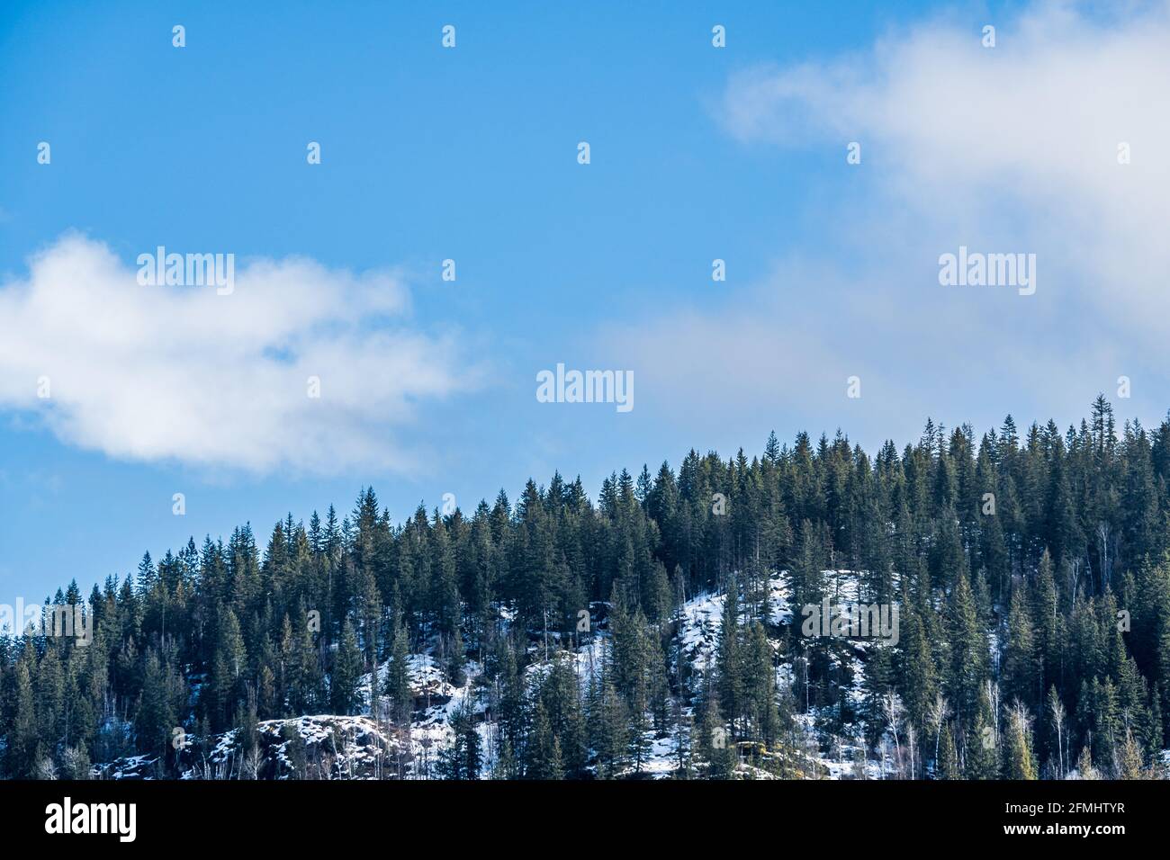 Landscape green forest blue hi-res stock photography and images - Alamy