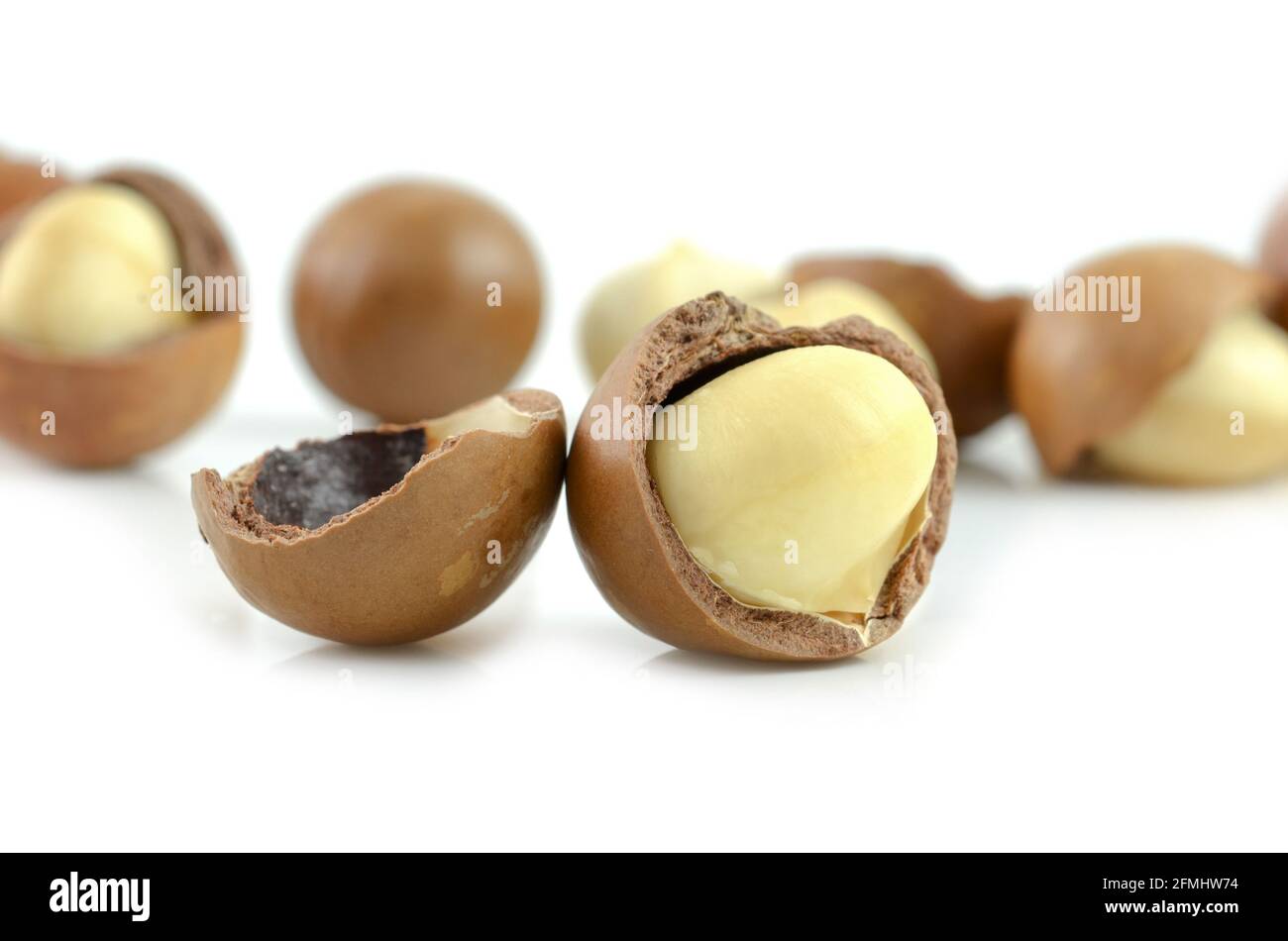 Macadamia nuts on white background Stock Photo - Alamy