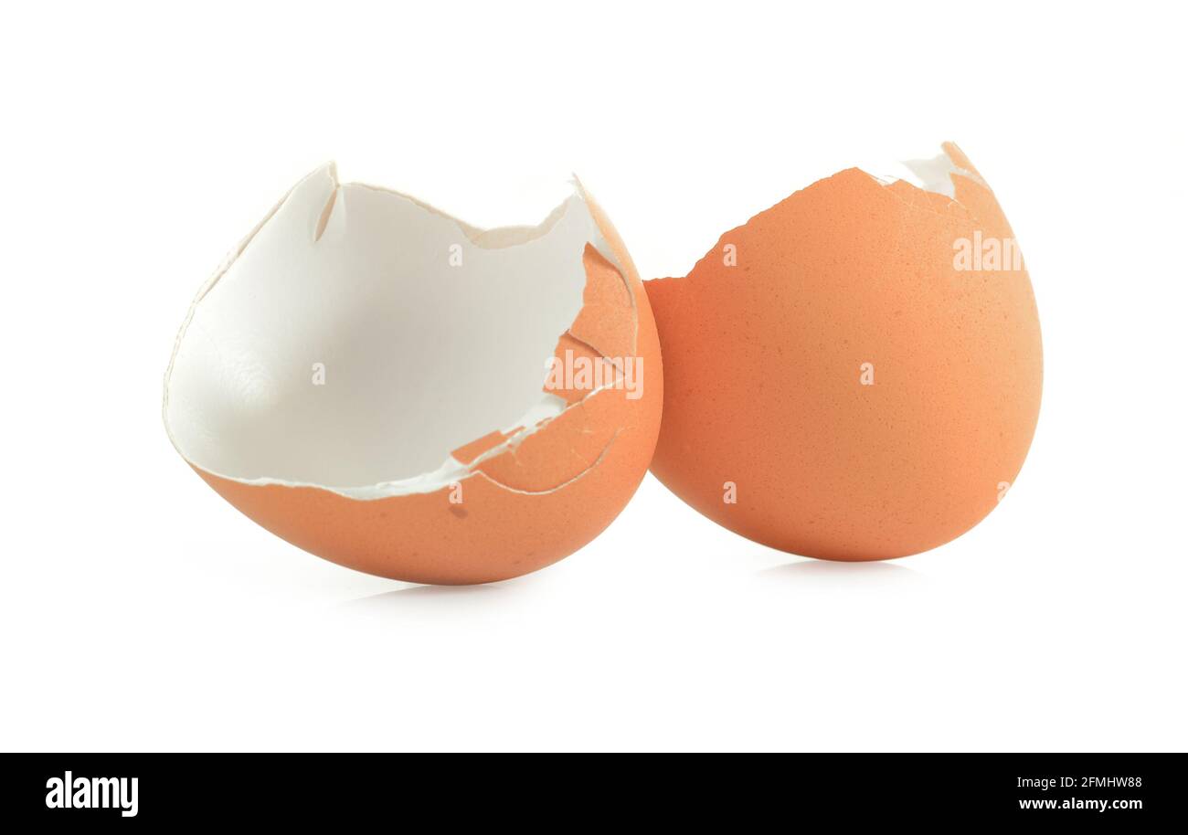 egg shell on white background Stock Photo - Alamy