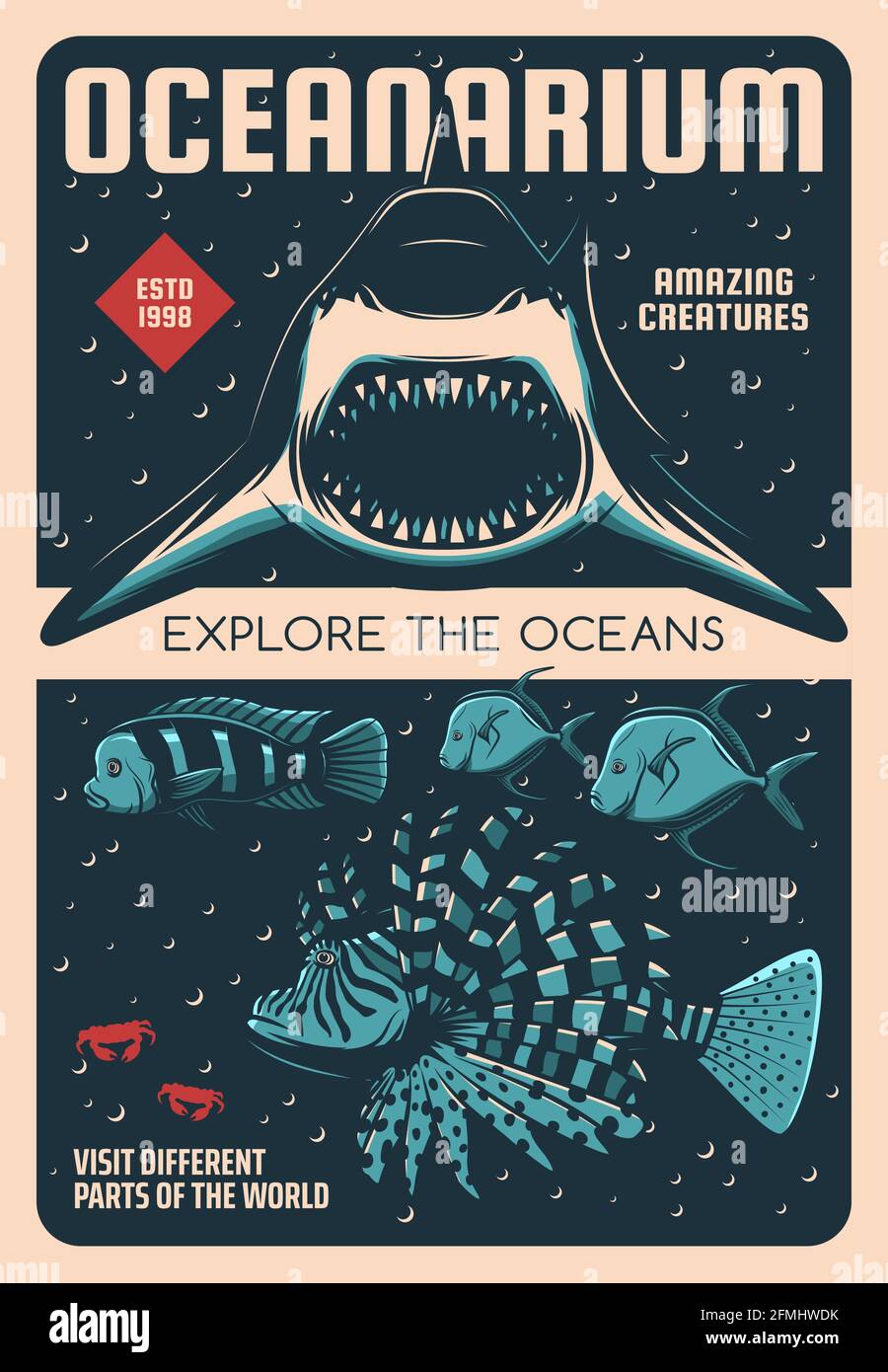 Ocean Sea Creatures Posters