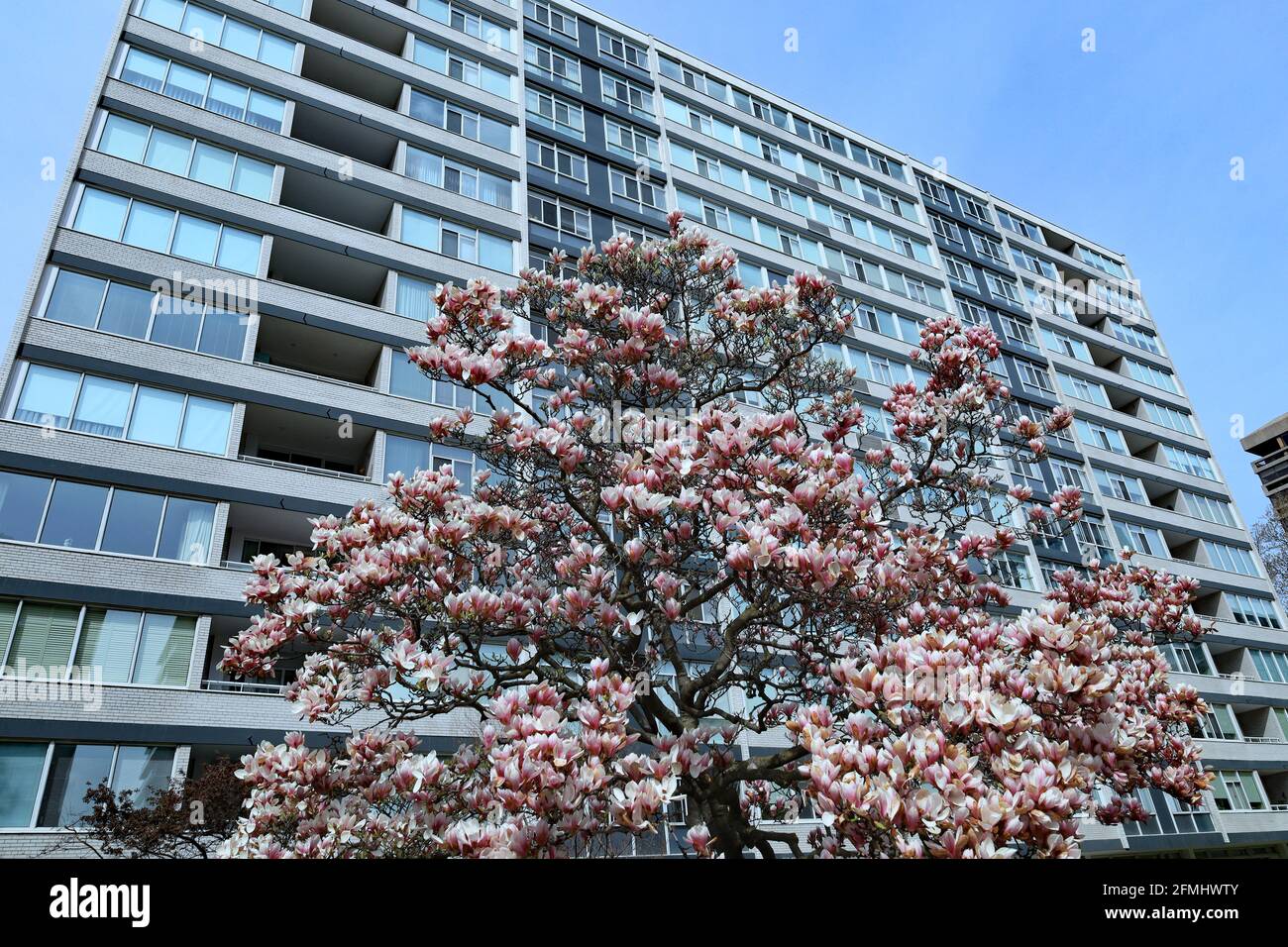 Magnolia building hi-res stock photography and images - Alamy