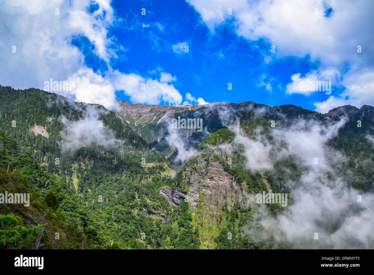 The Highest Mountain on Taiwan Island - Mt.Jade Mountain Landscape ...