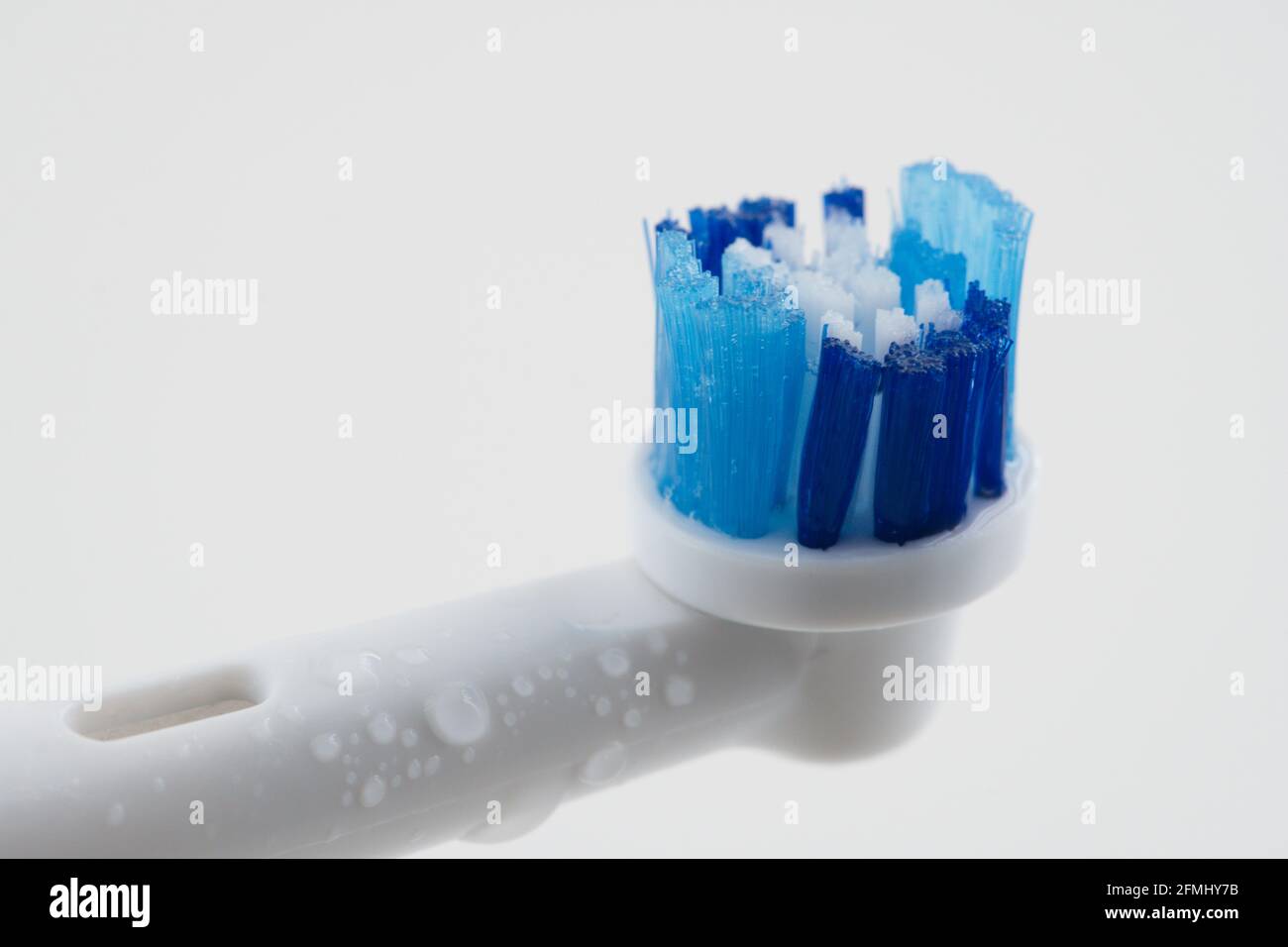 Toothbrush head hi-res stock photography and images - Alamy