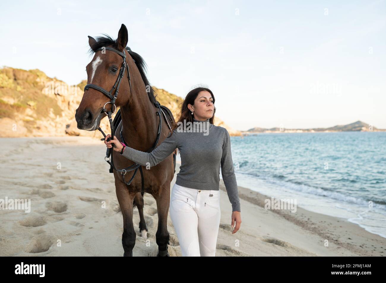 Chestnut walk away hi-res stock photography and images - Alamy