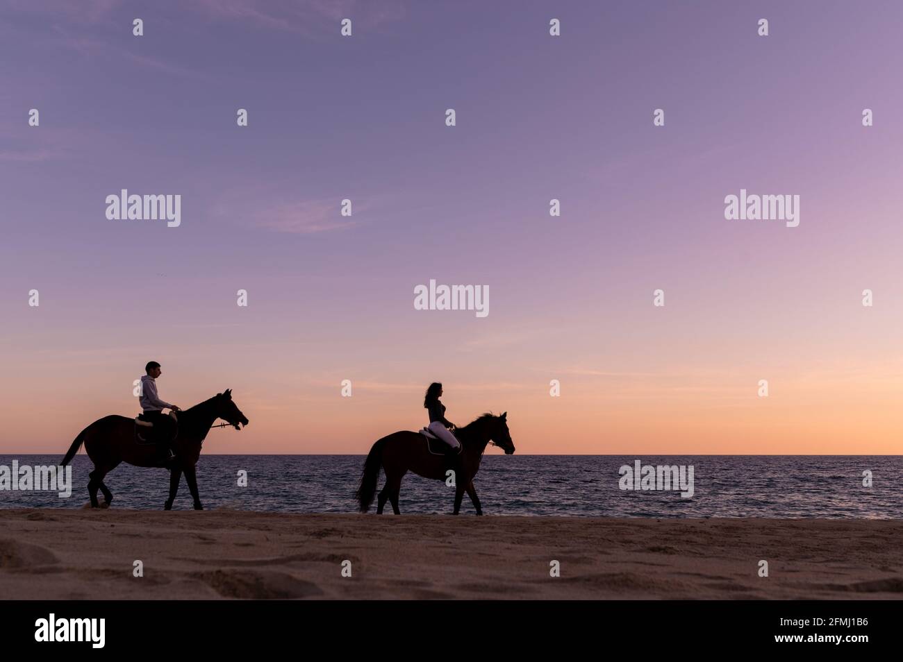 Side view of anonymous couple silhouettes on mares contemplating ...