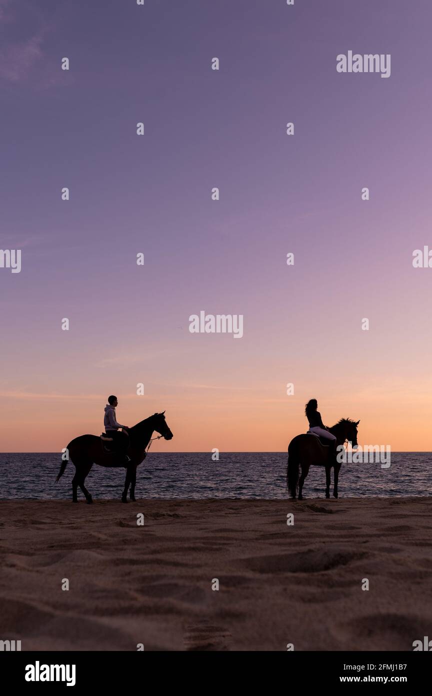 Side view of anonymous couple silhouettes on mares contemplating ...