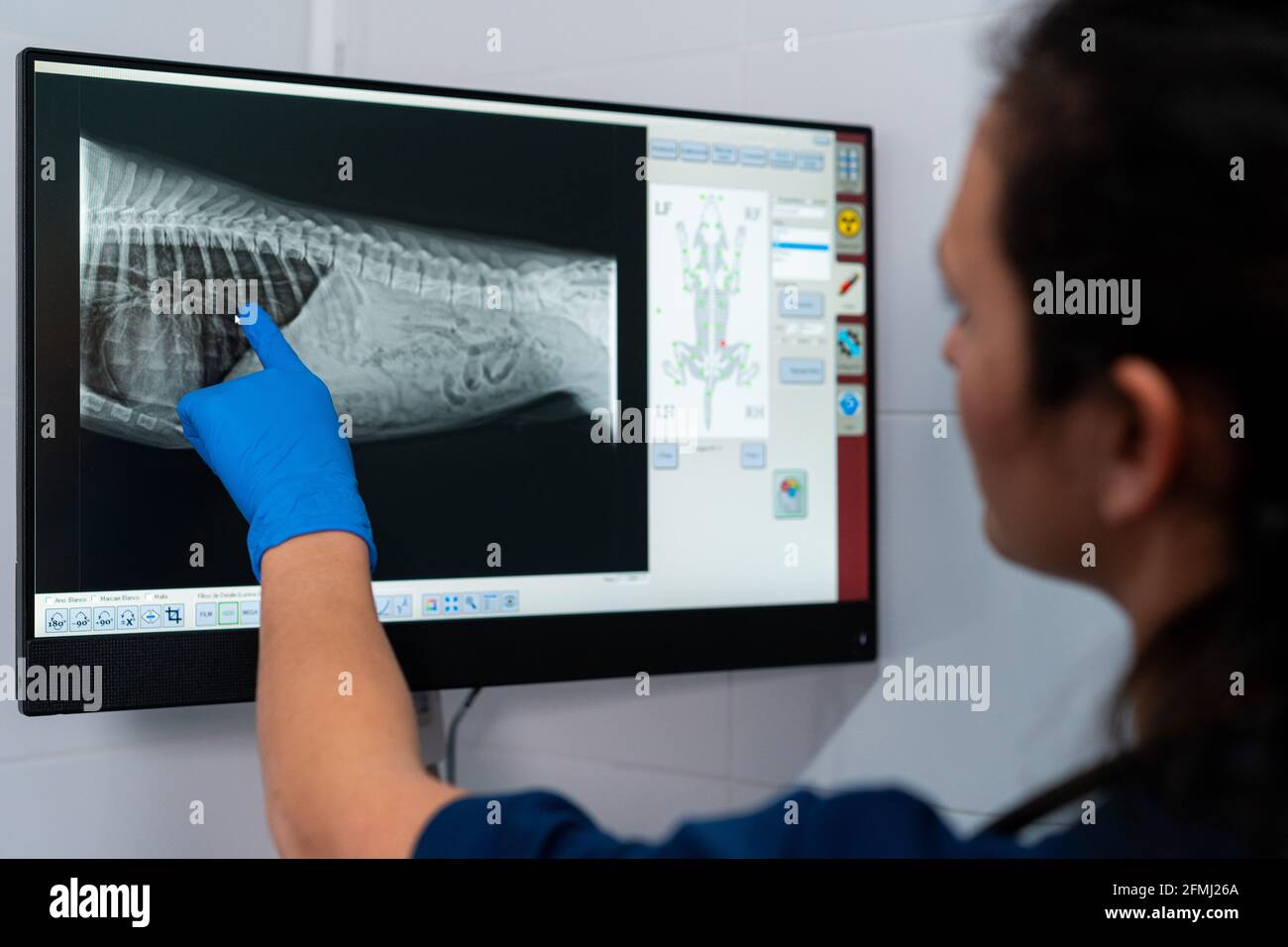 Vet looking screen monitor clinic hi-res stock photography and images ...