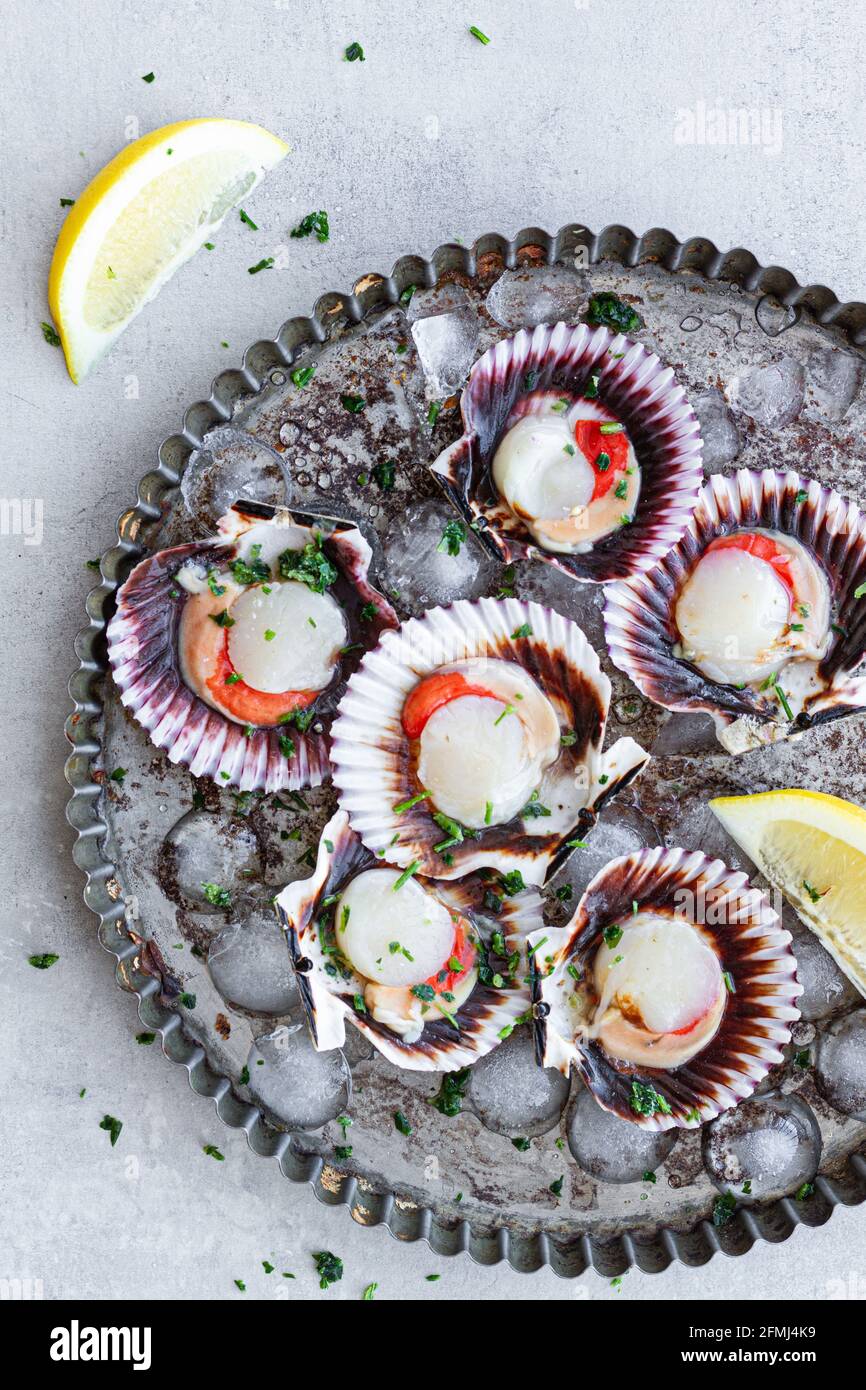 Top view fresh appetizing scallops on shells served on ice on plate ...