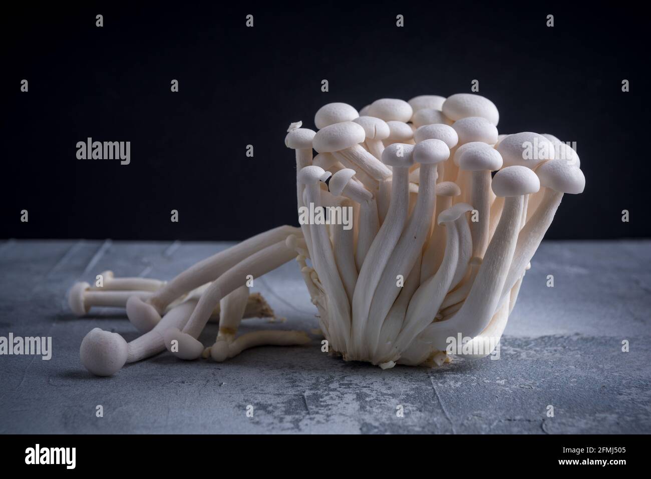 Curved stems hi-res stock photography and images - Alamy