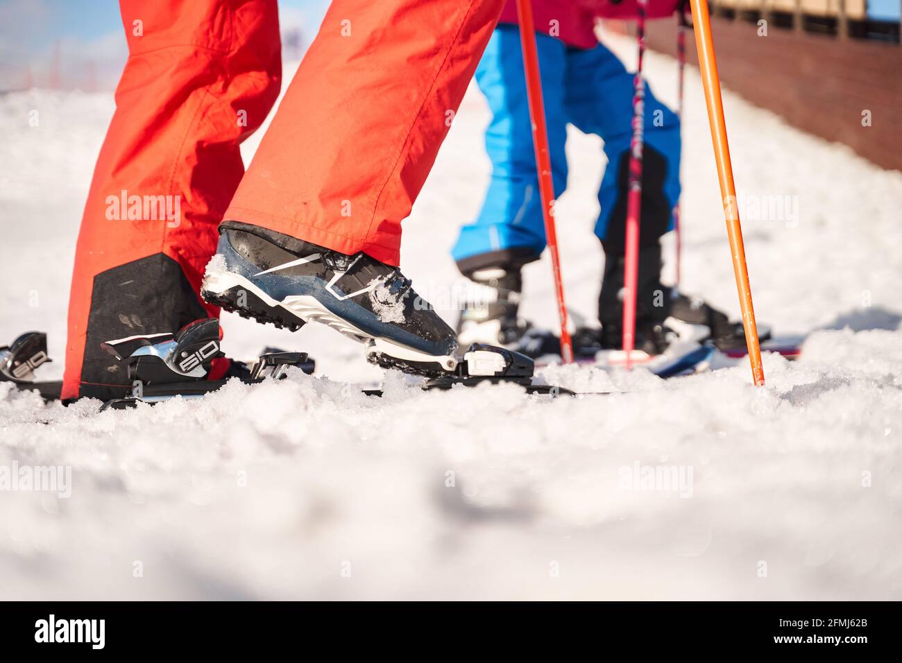 Side view crop anonymous skiers in warm sportswear putting on skis ...