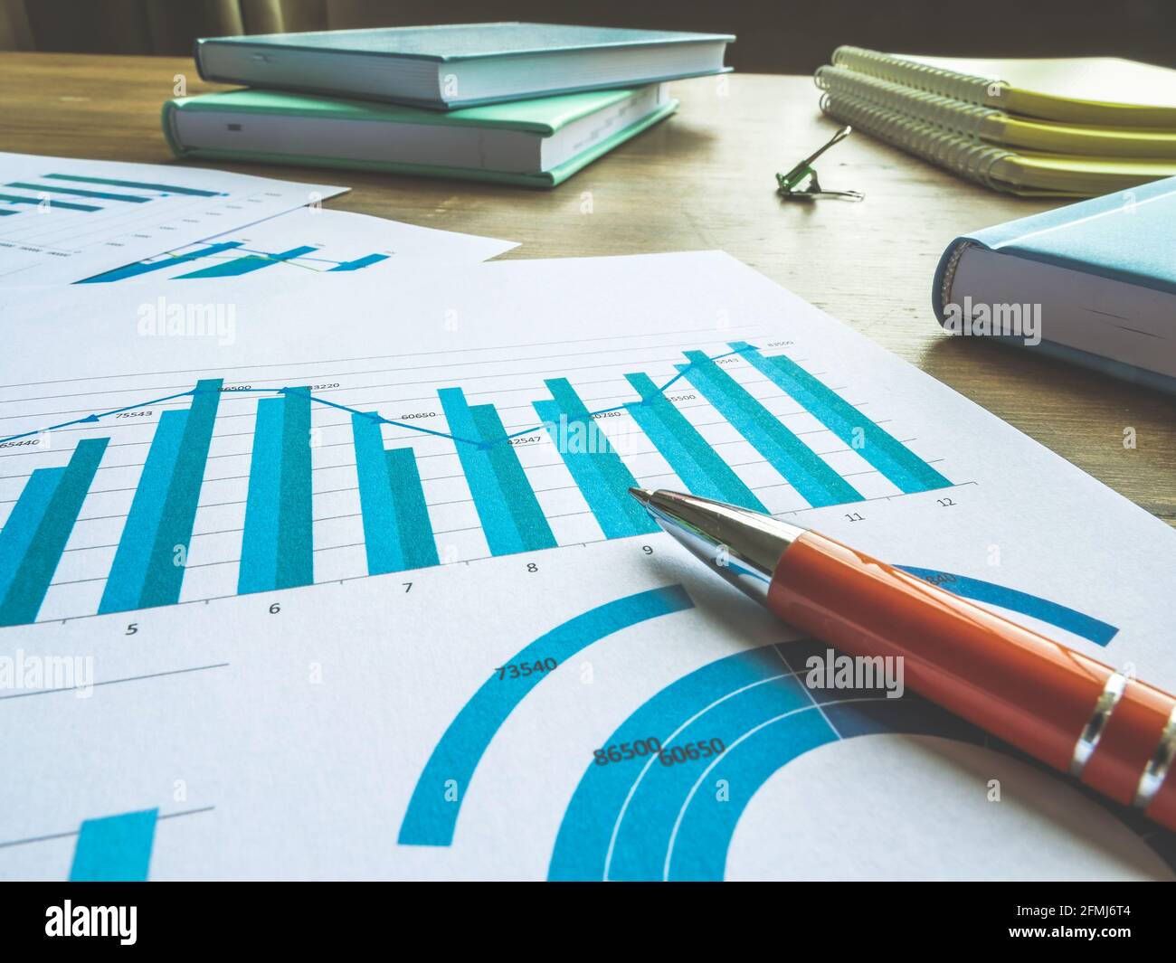 Business planning and report with financial charts and graphs for ...