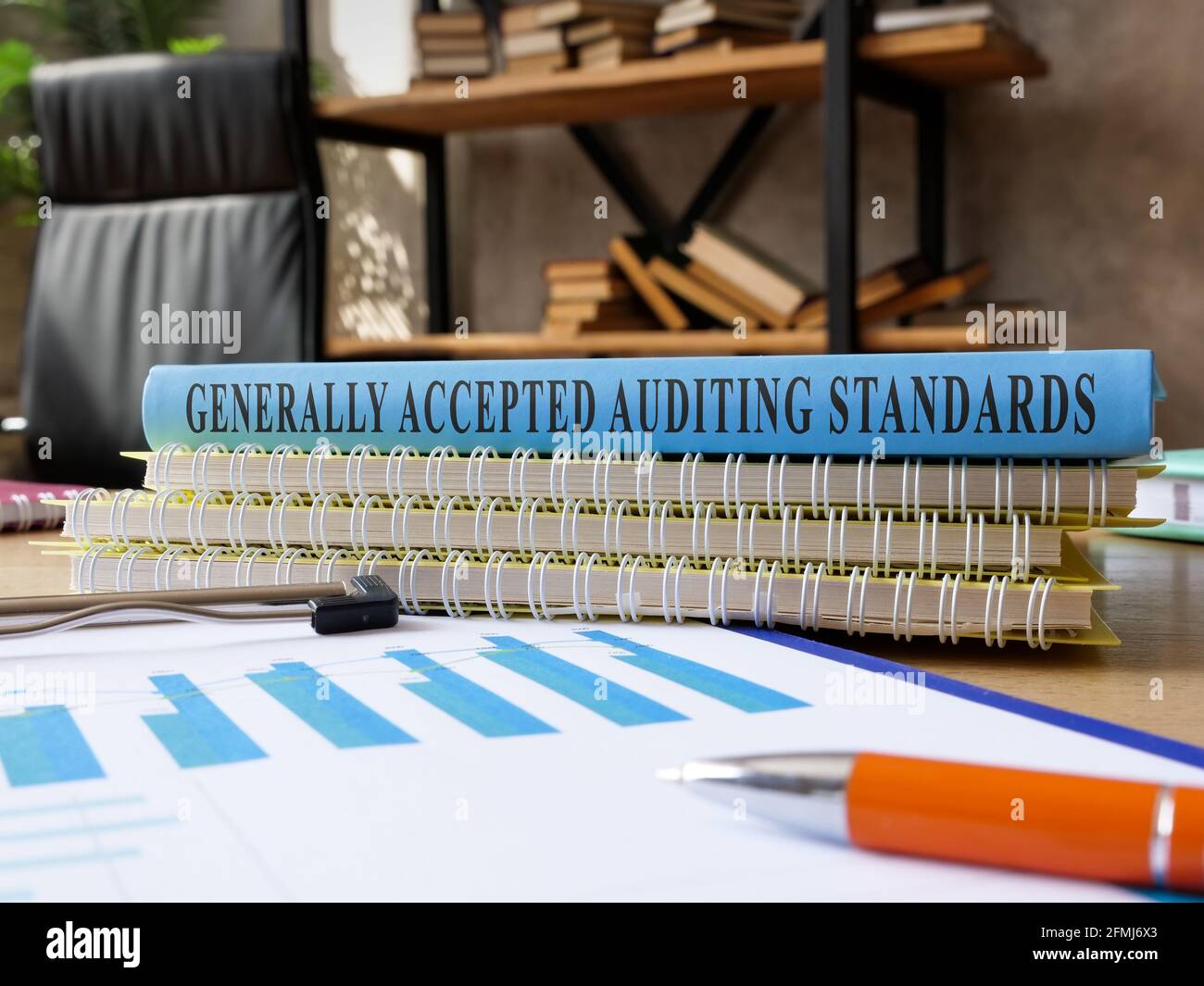 Generally accepted auditing standards gaas guide and papers Stock Photo ...