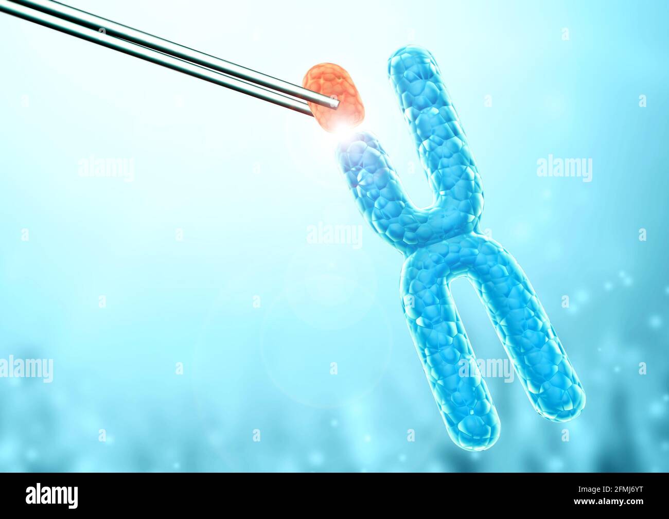 X chromosome break or Replace. Genetic engineering, GMO and gene ...