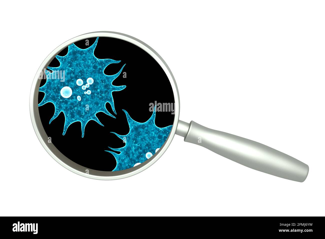 Magnifying glass and pathogen bacteria. Isolated on white background ...
