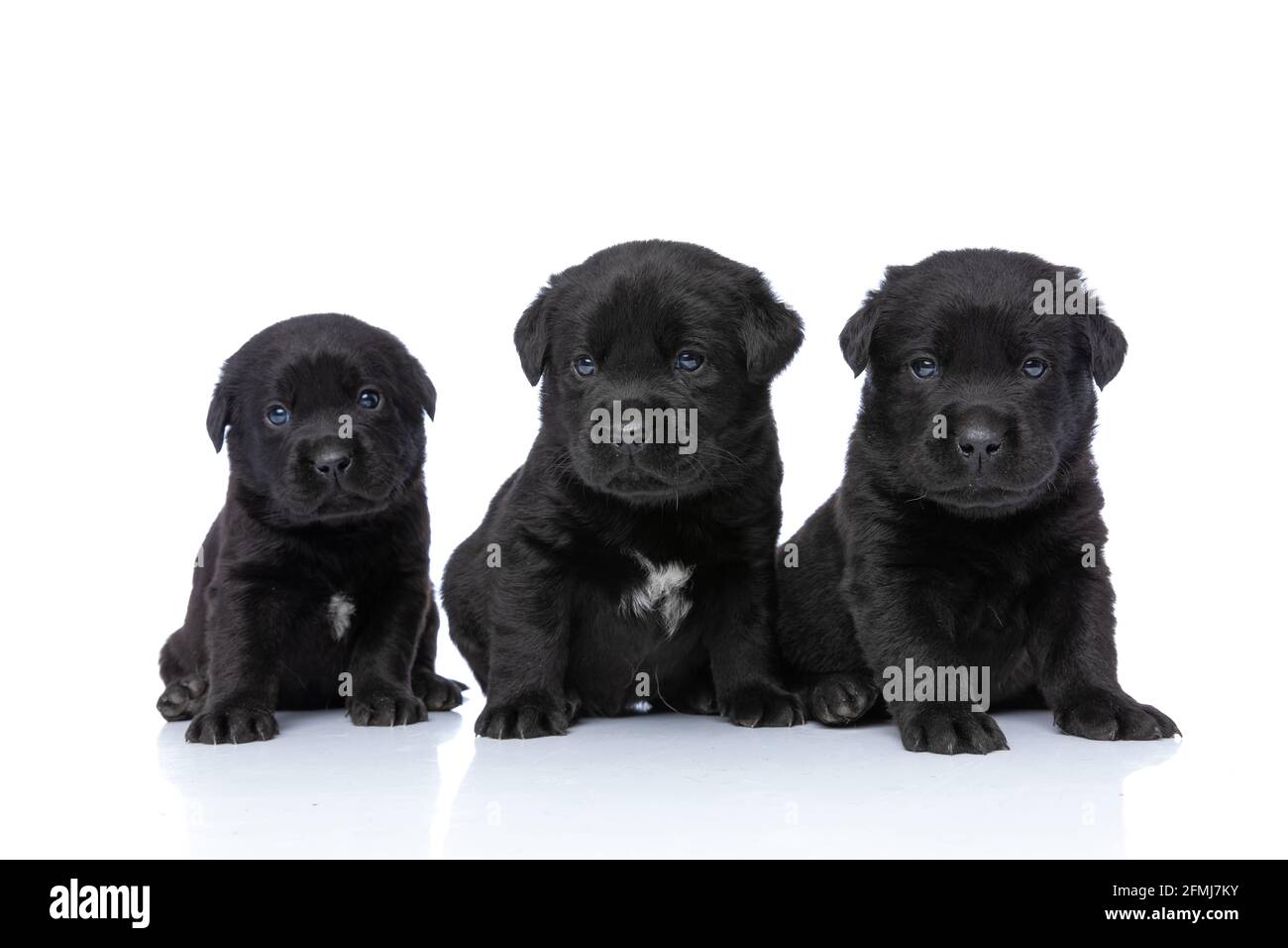 Side three brothers hi-res stock photography and images - Alamy