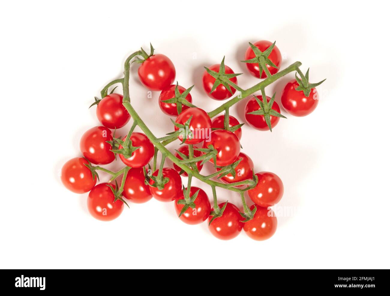Twig of fresh cherry tomato, isolated on white background Stock Photo ...