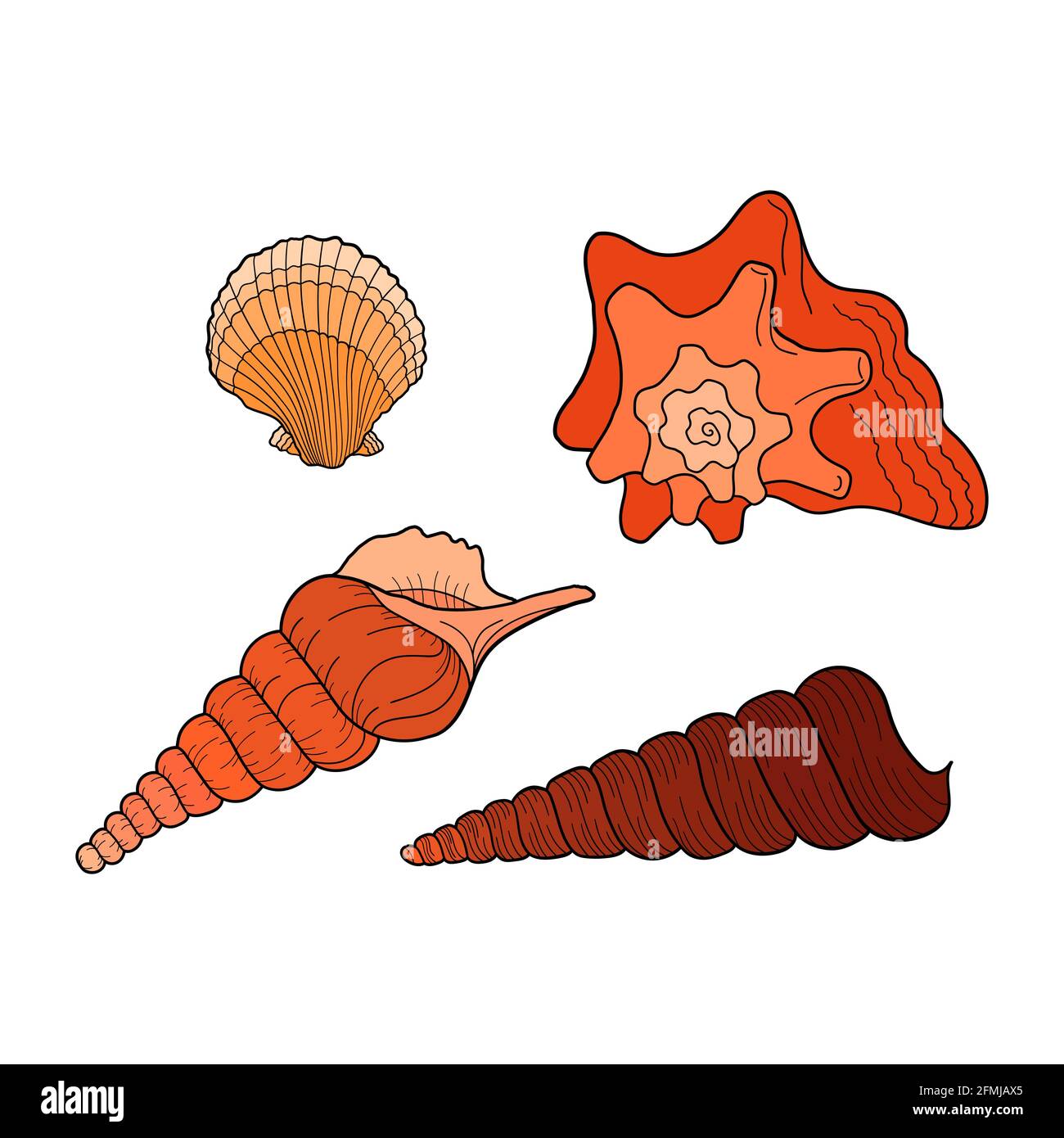 Colorful shells Stock Vector Images - Alamy