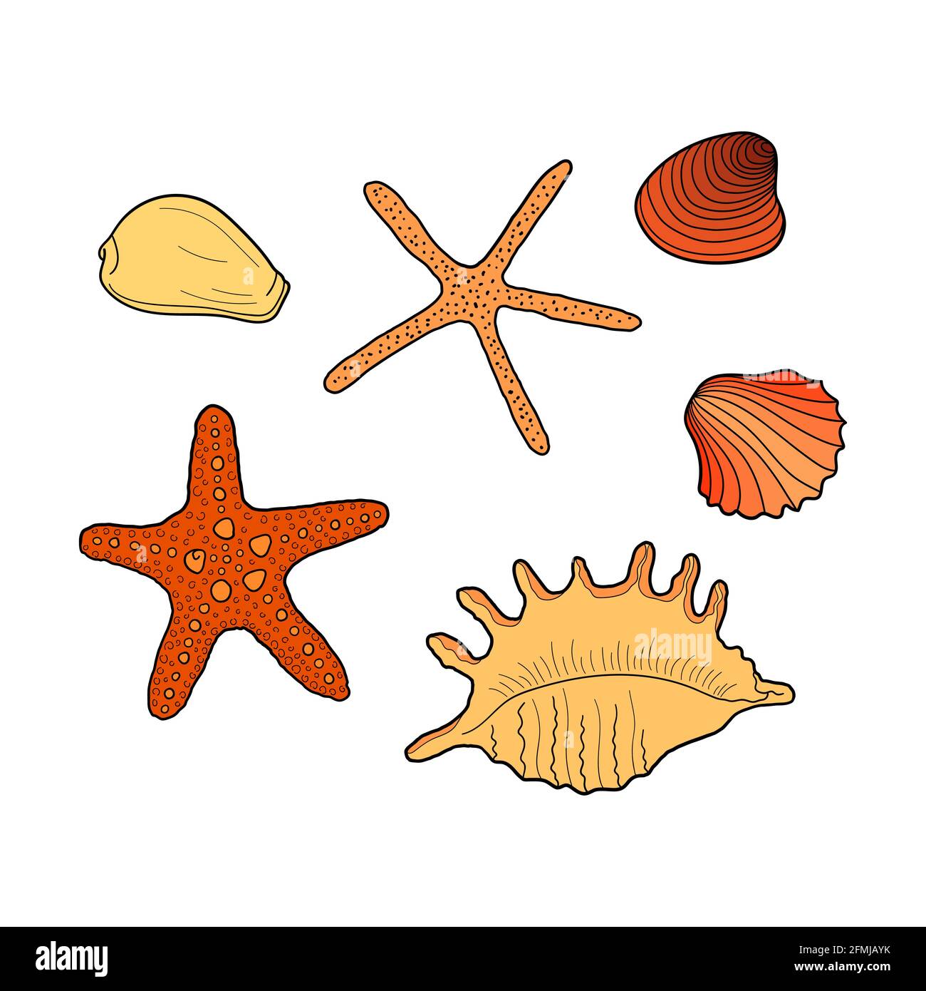 Colorful shells Stock Vector Images - Alamy