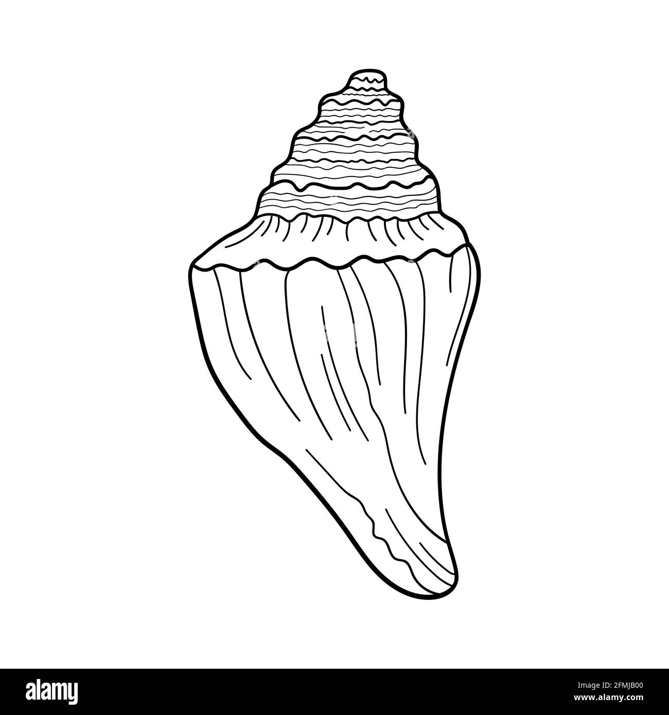 Dove sea shell hi-res stock photography and images - Alamy