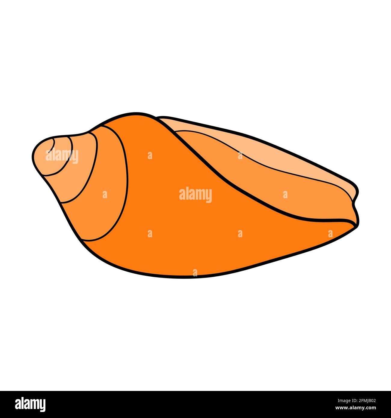 Hand-drawn cone shell of engraved line. Design element for invitations ...