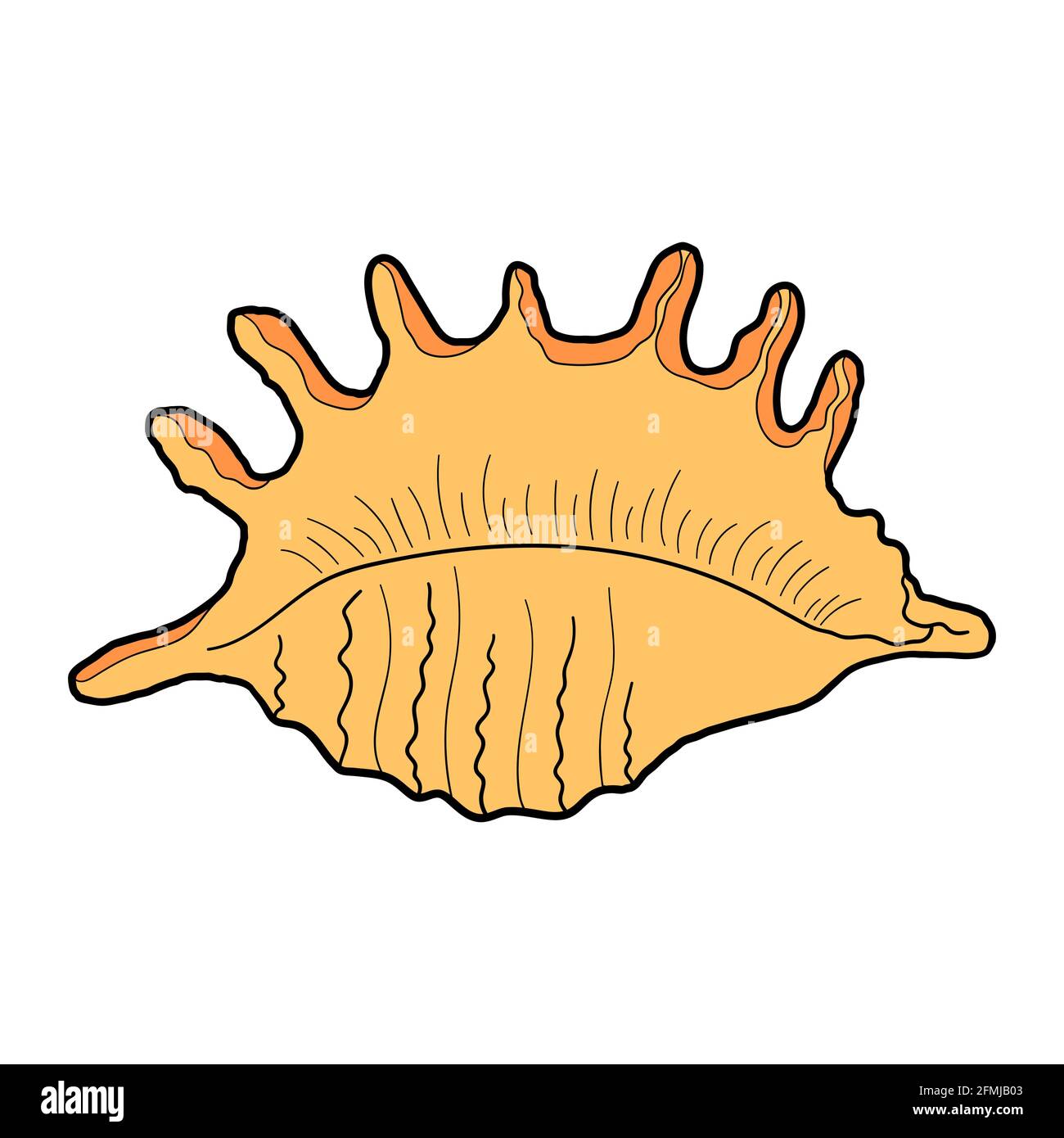 Conch Shell Vector