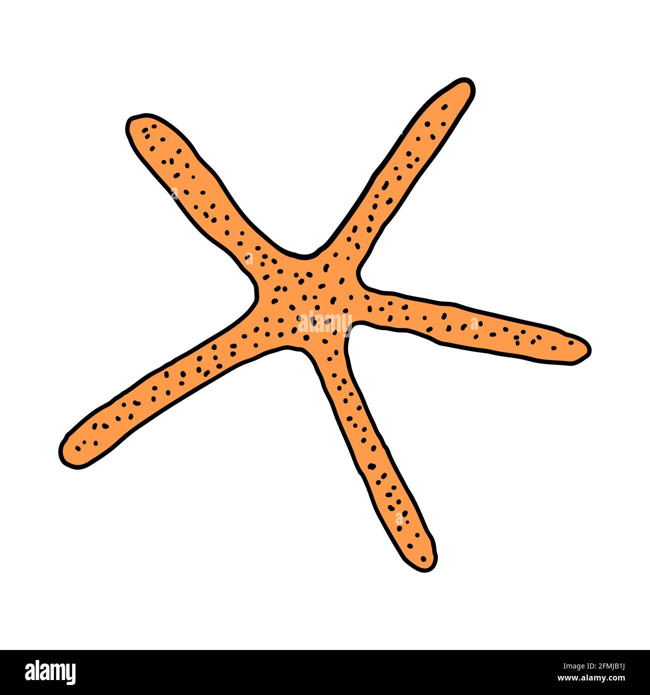 Starfish vector vectors hi-res stock photography and images - Alamy