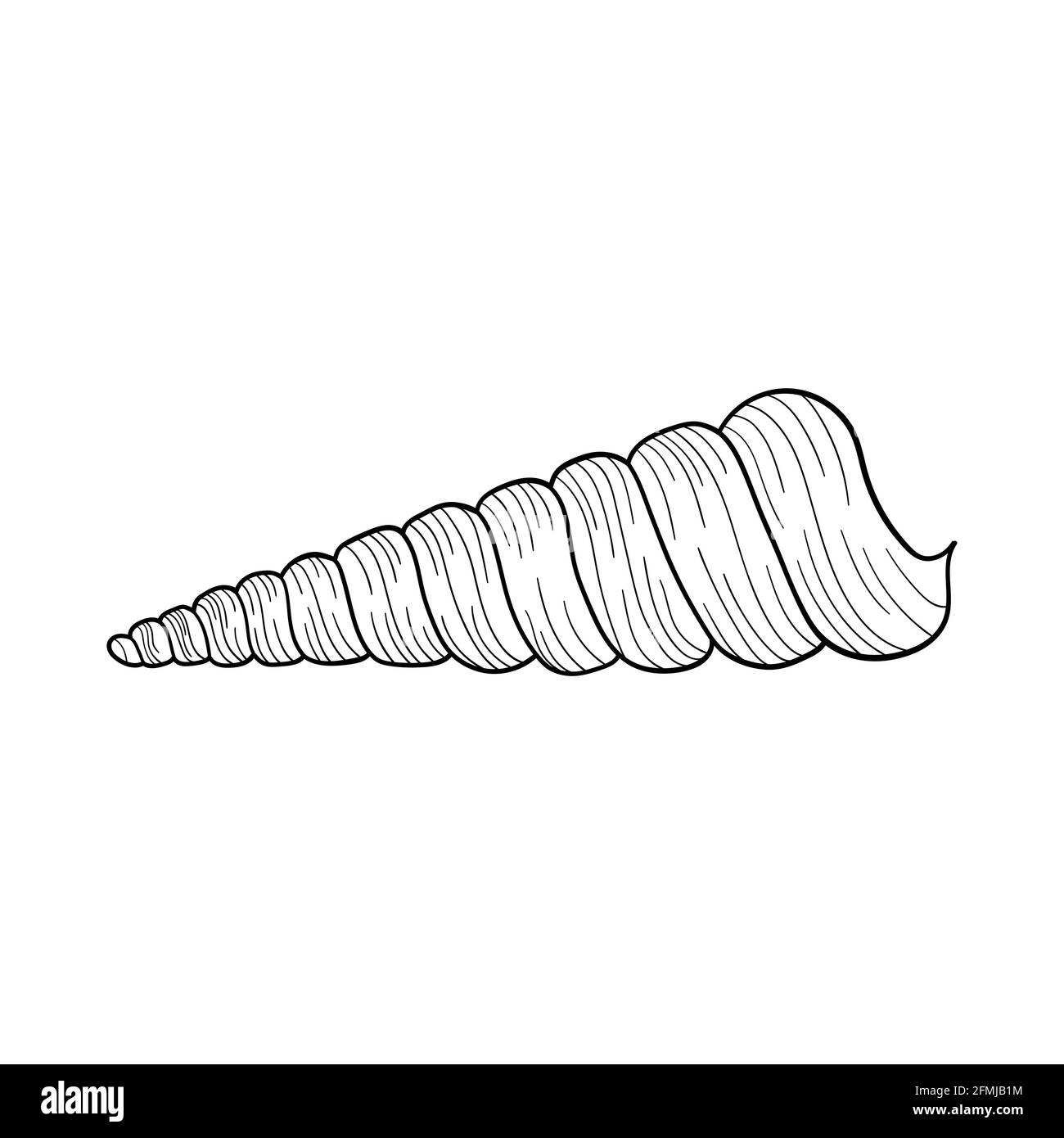 Hand-drawn spiral shell of engraved line. Design element for ...