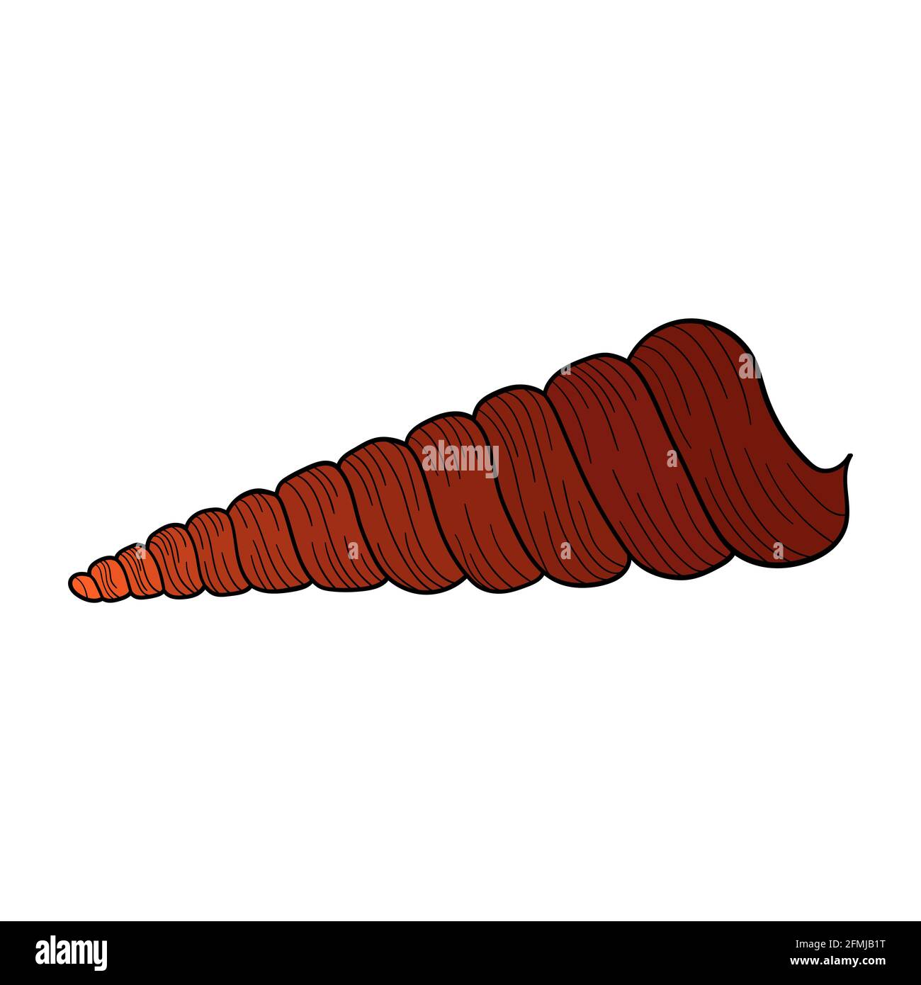 Hand-drawn spiral shell of engraved line. Design element for ...