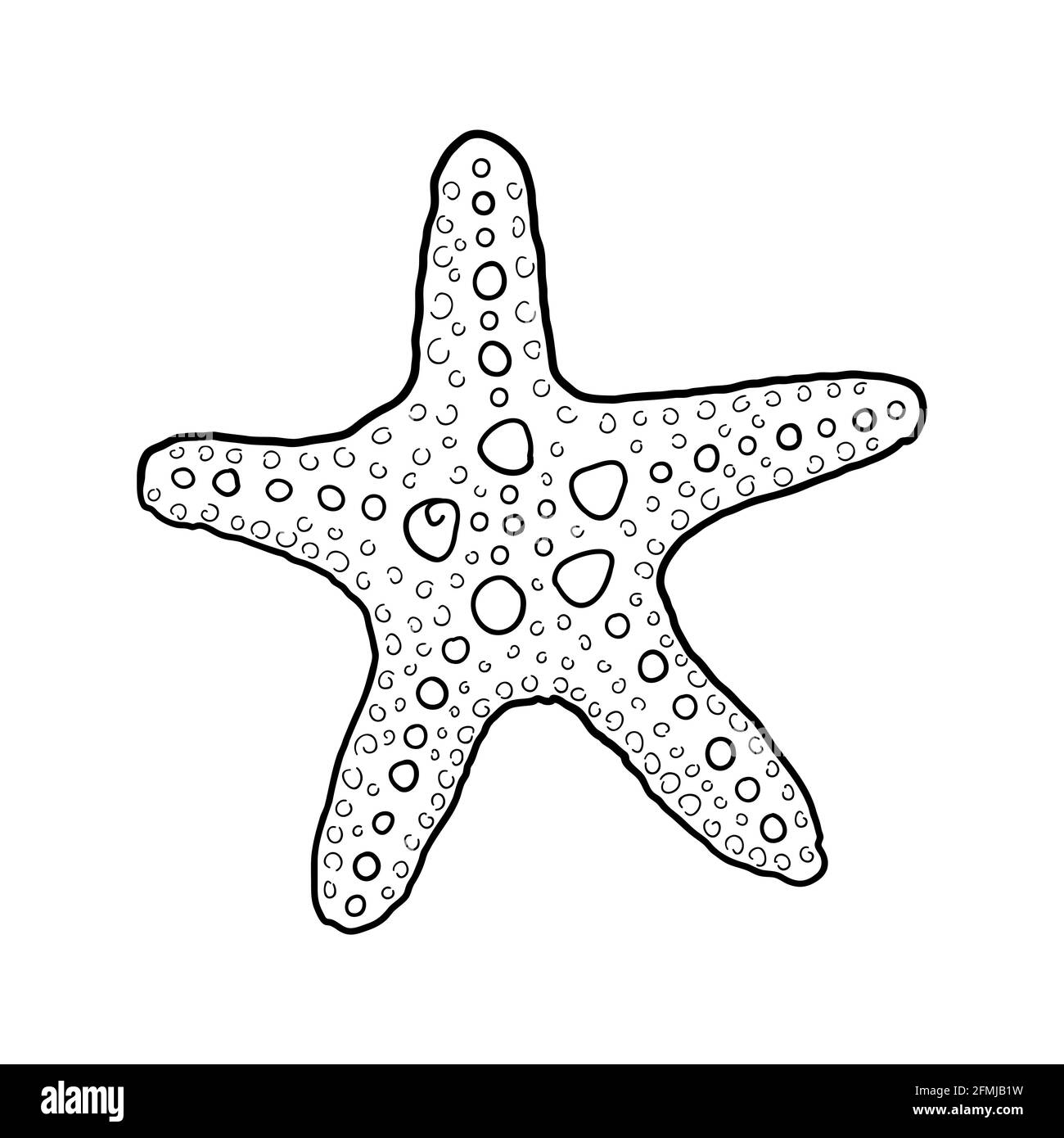 Starfish vector Black and White Stock Photos & Images - Alamy