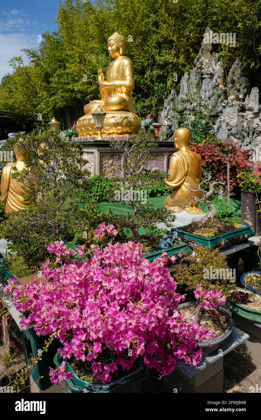 Lyon temple hi-res stock photography and images - Alamy