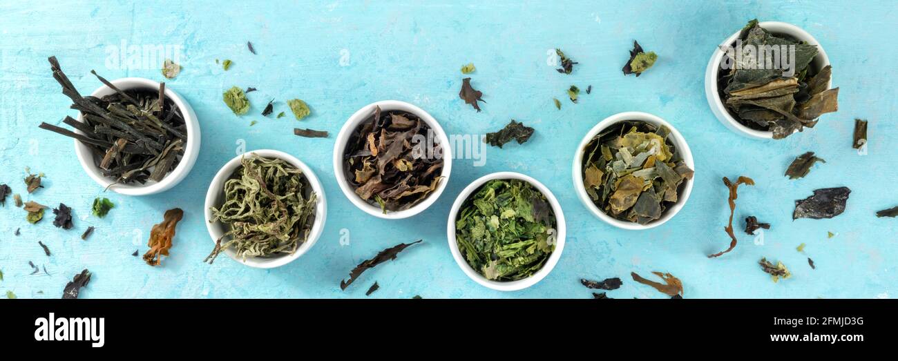 Sea vegetables panorama, top shot on a blue background. Many different ...