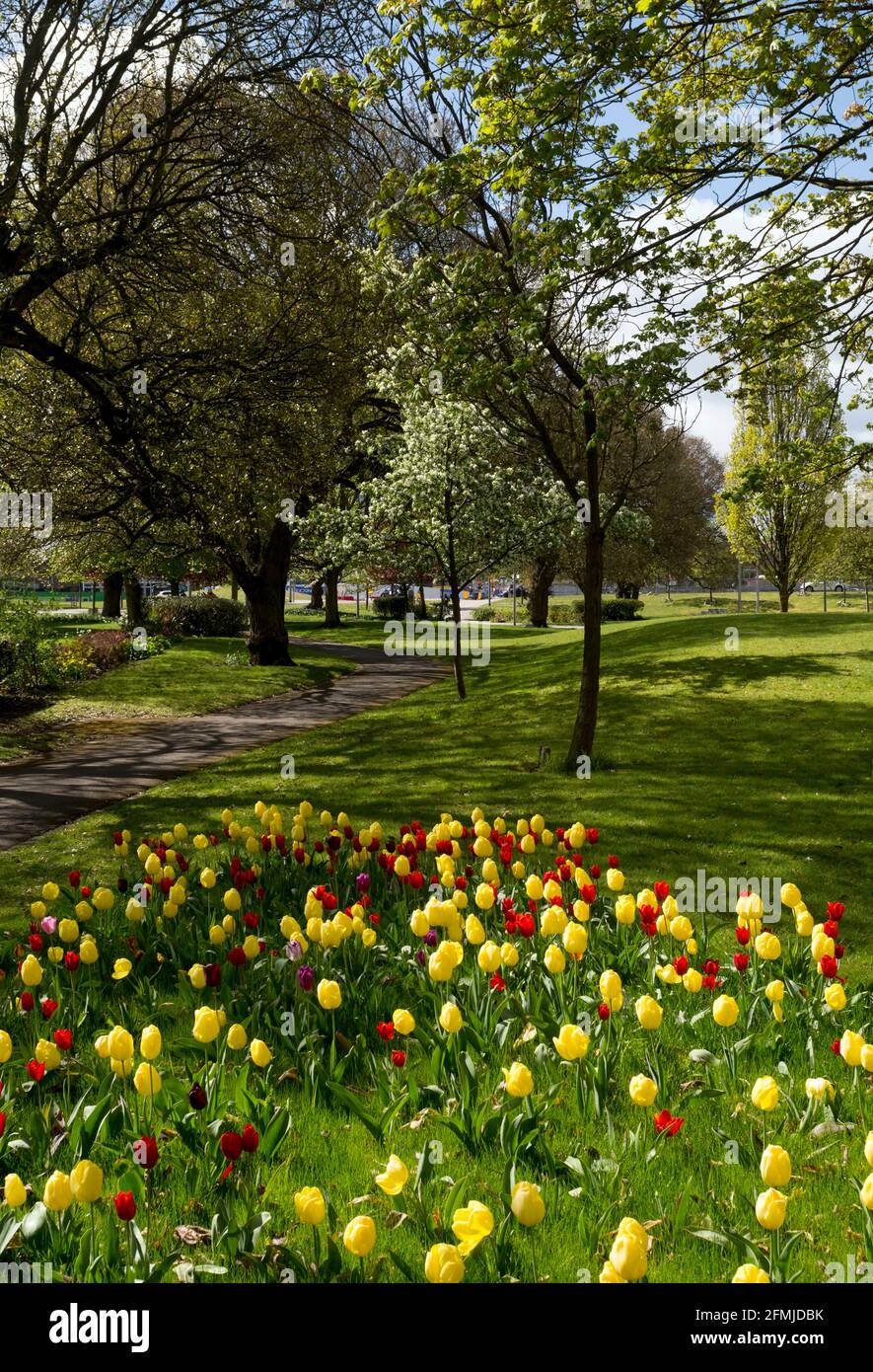 Greyfriars green coventry hi-res stock photography and images - Alamy