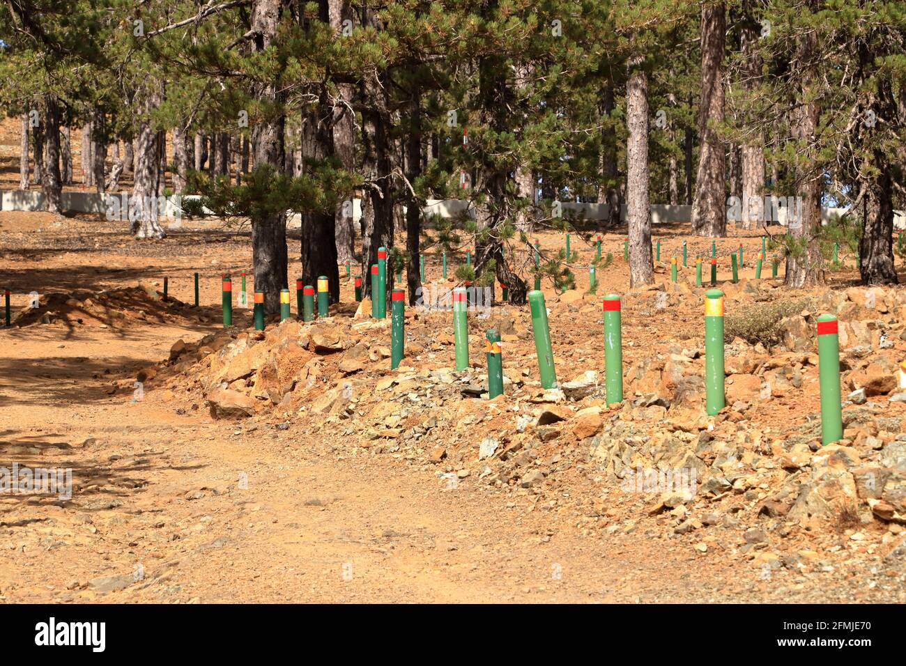 Green Traffic regulation plastic bollards on a walkway Stock Photo - Alamy