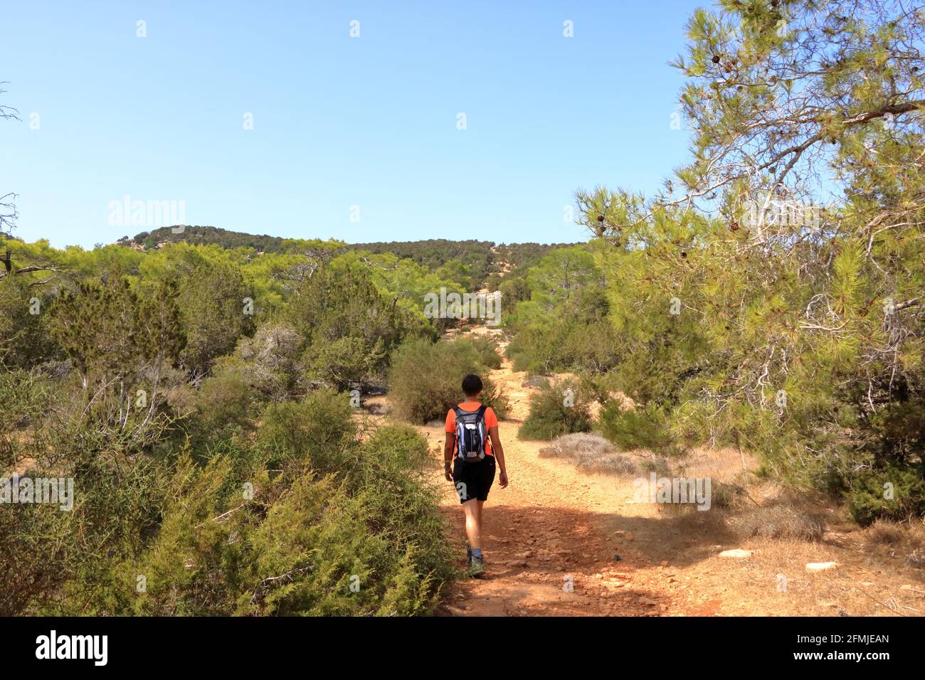Aphrodite and Adonis Nature Trail, Akamas Peninsula in Cyprus Stock ...