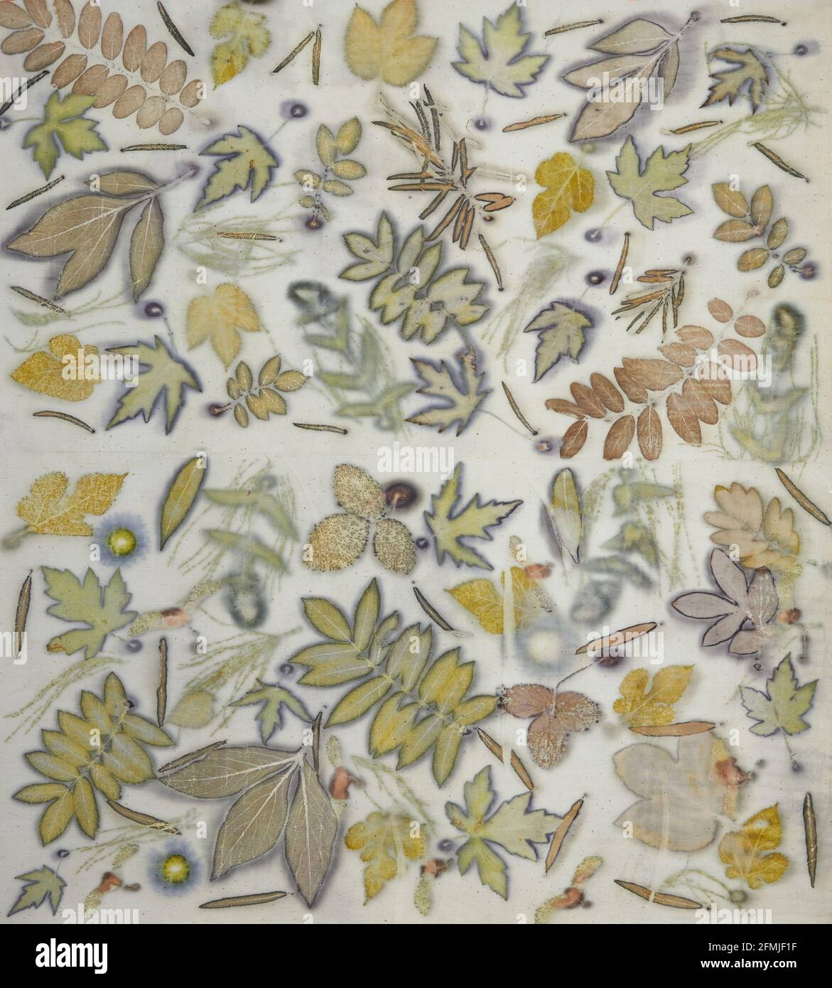 Hand-dyed fabric strip using eco-print technique Stock Photo - Alamy