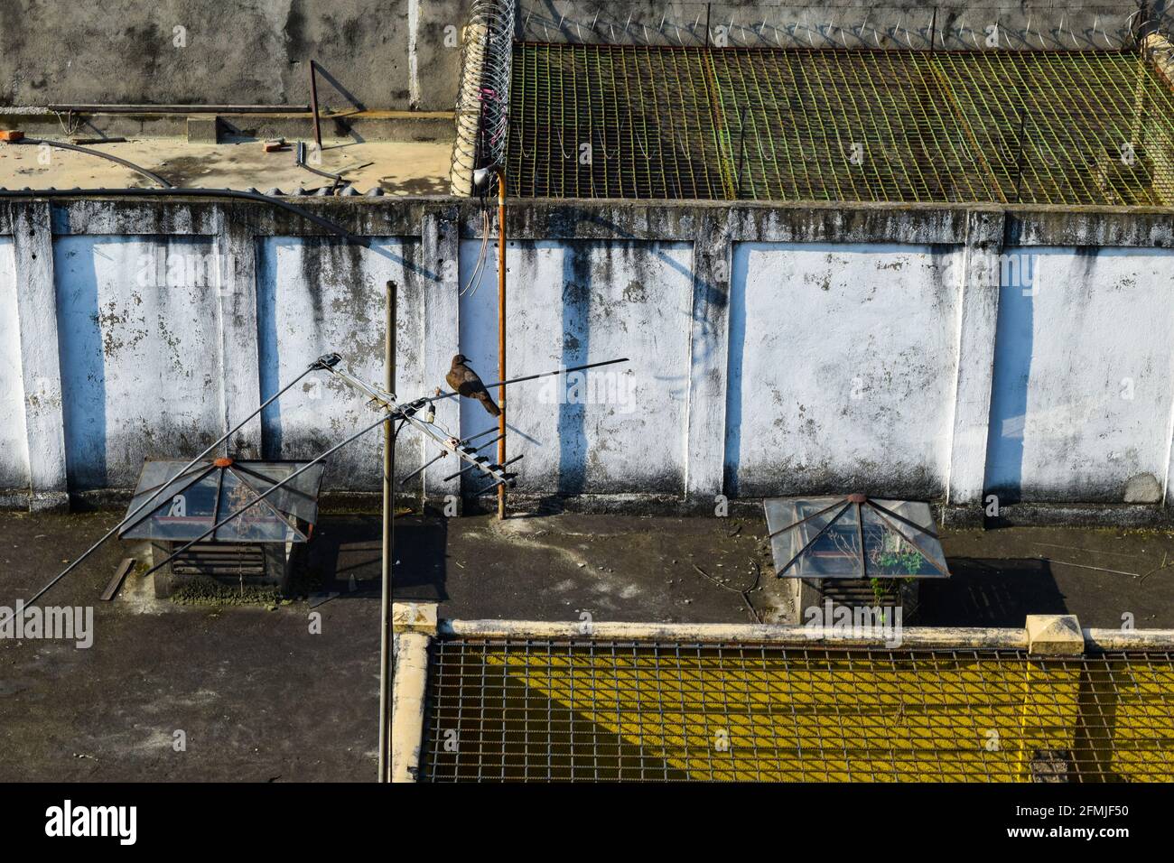 High angle of old rusty buildings with grid on the roofs and a bird on ...