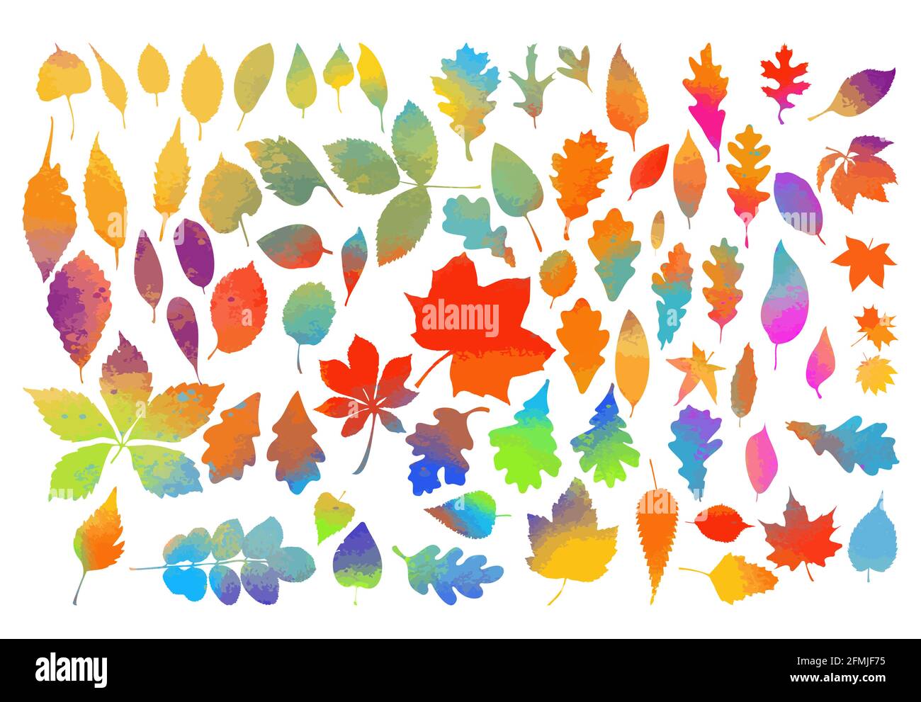 Set of tree colorful leaves. Vector illustration Stock Vector Image ...
